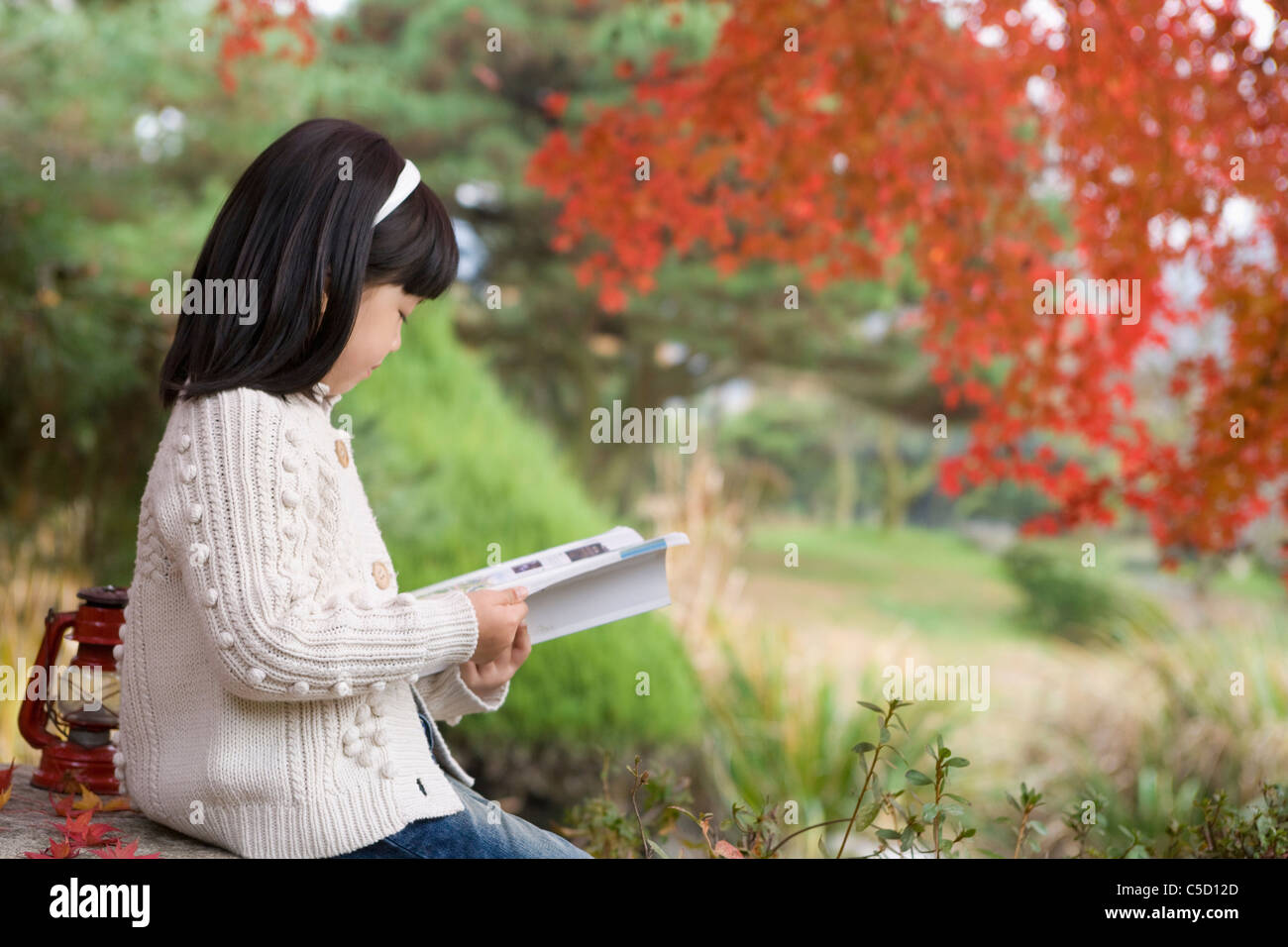 Girl reading under a lamp hi-res stock photography and images - Alamy