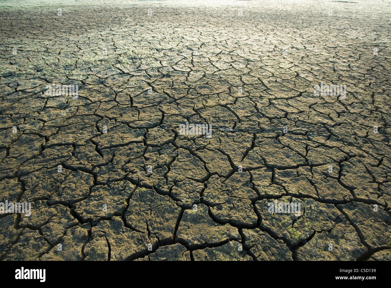 Ground in drought hi-res stock photography and images - Alamy
