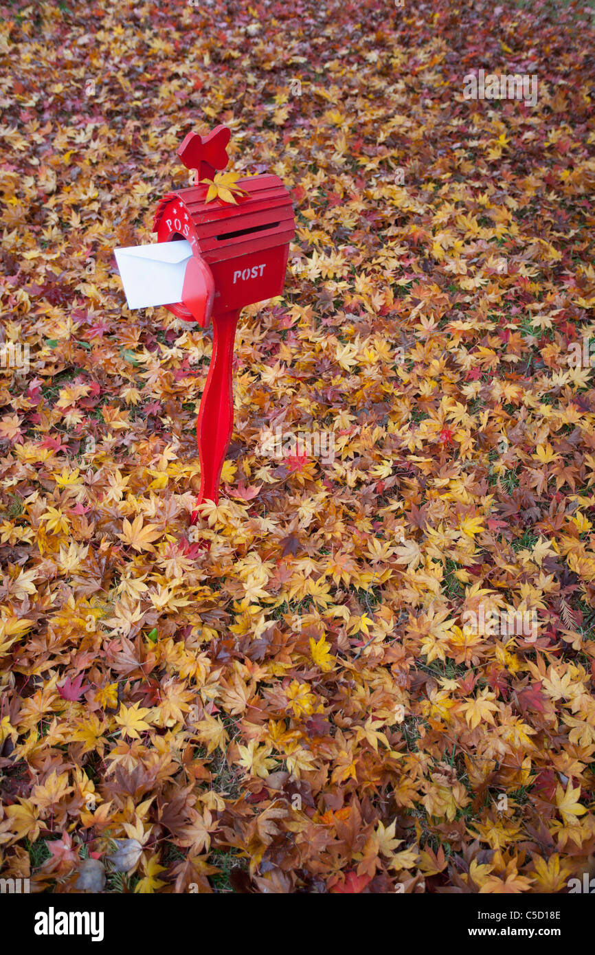 letter in post box Stock Photo - Alamy