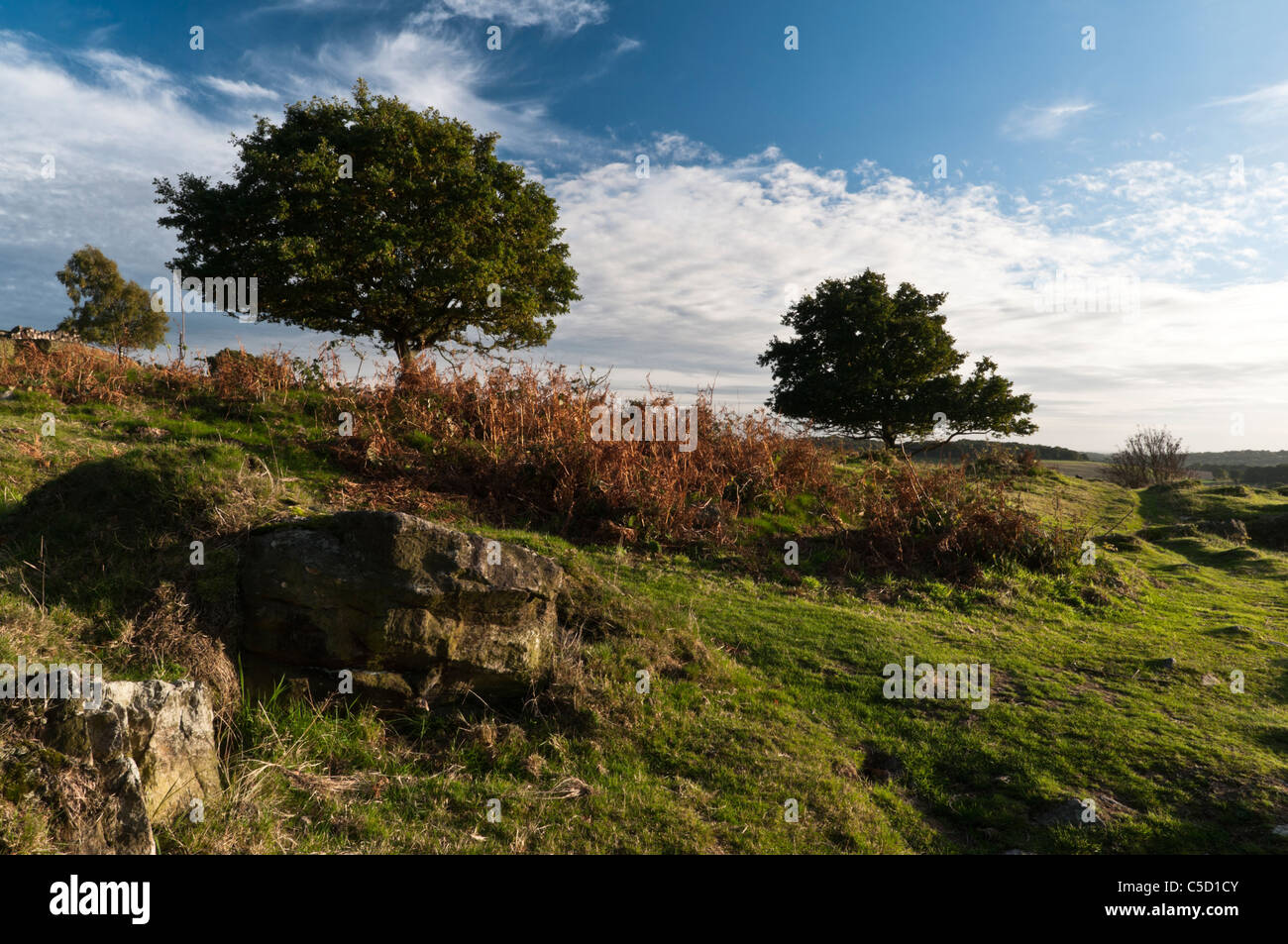 Hilltop Forest High Resolution Stock Photography and Images - Alamy