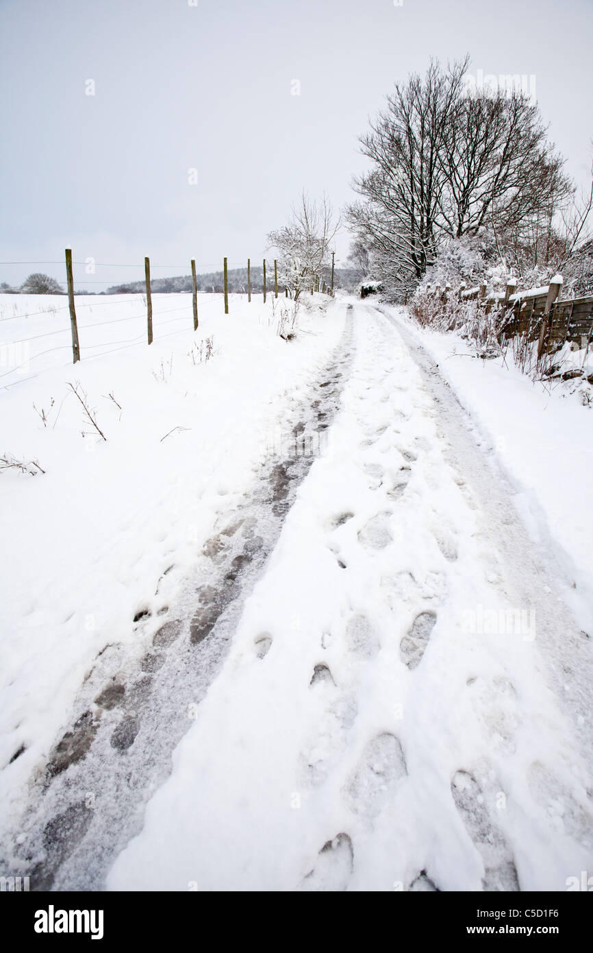 Foot track hi-res stock photography and images - Alamy