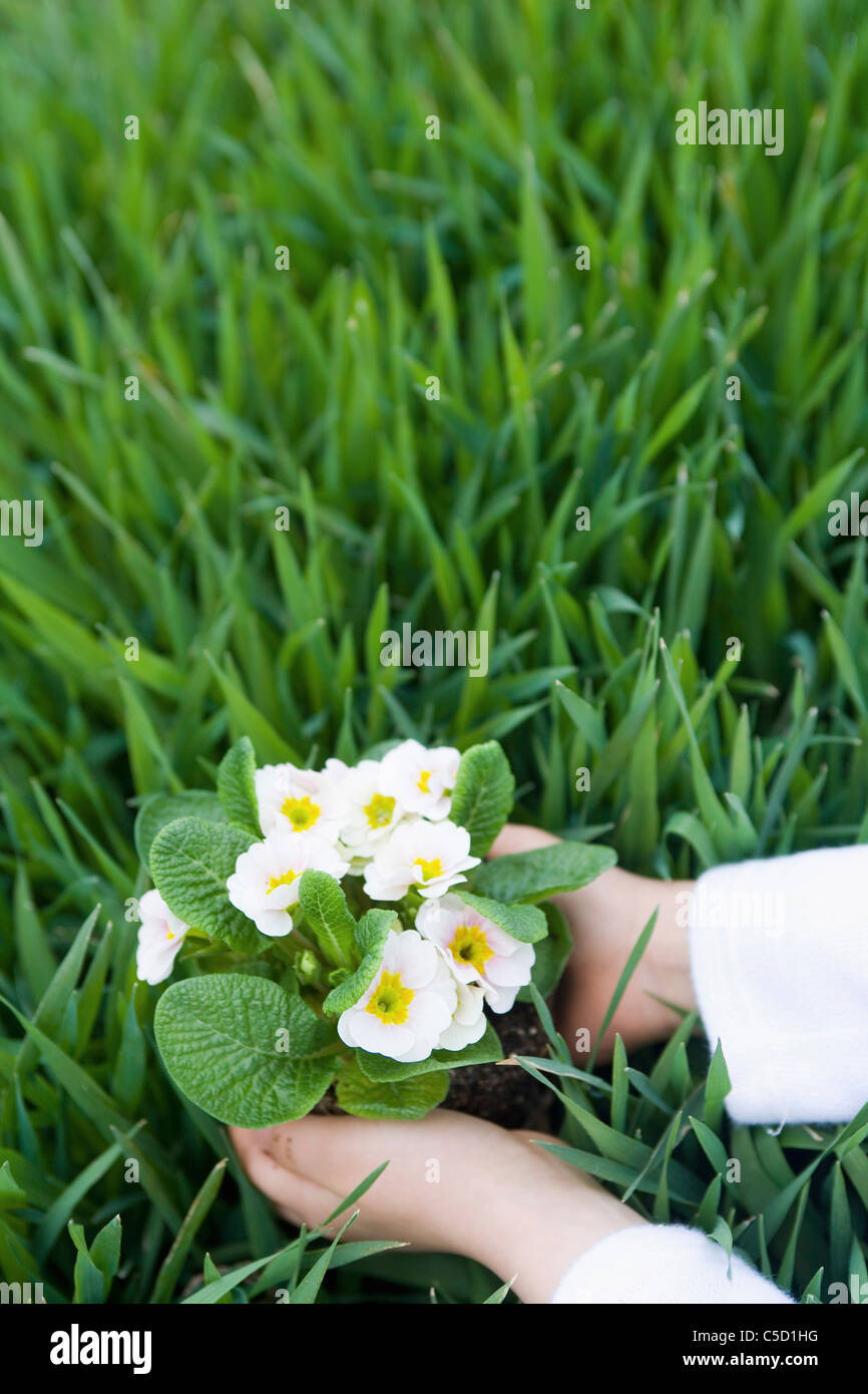 flowers on the hand Stock Photo - Alamy