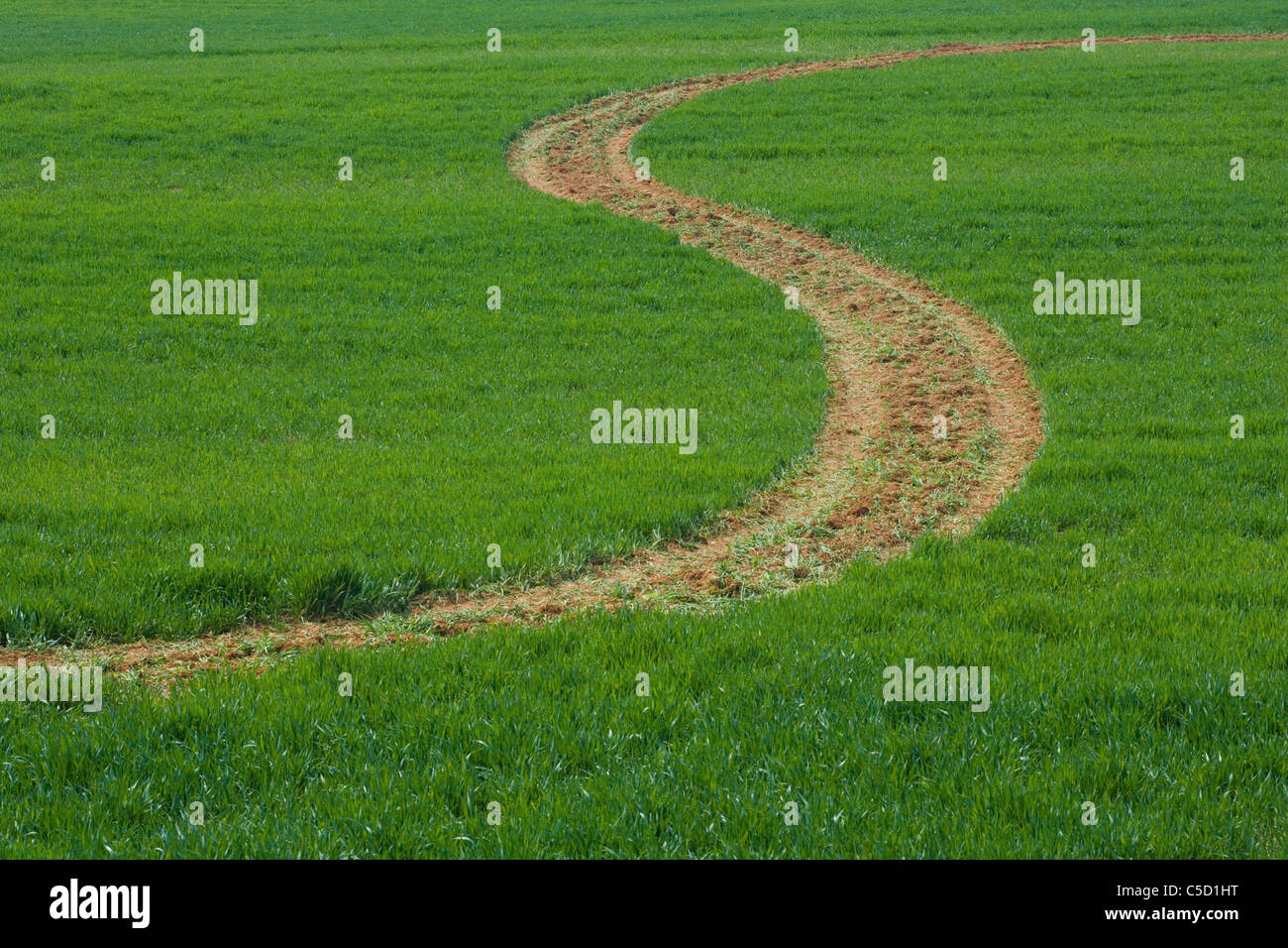 path in the country side Stock Photo - Alamy