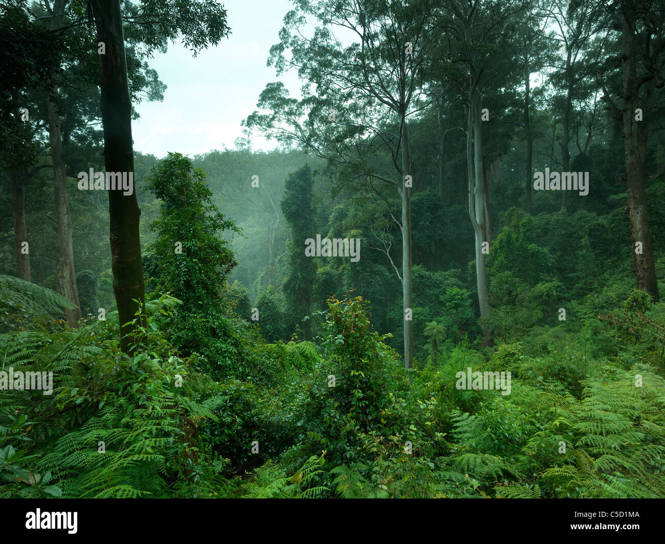 Bimbang hi-res stock photography and images - Alamy
