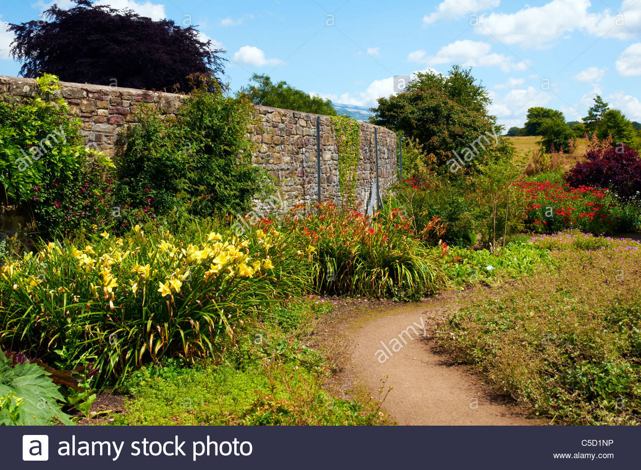 Day Lilies High Resolution Stock Photography and Images - Alamy