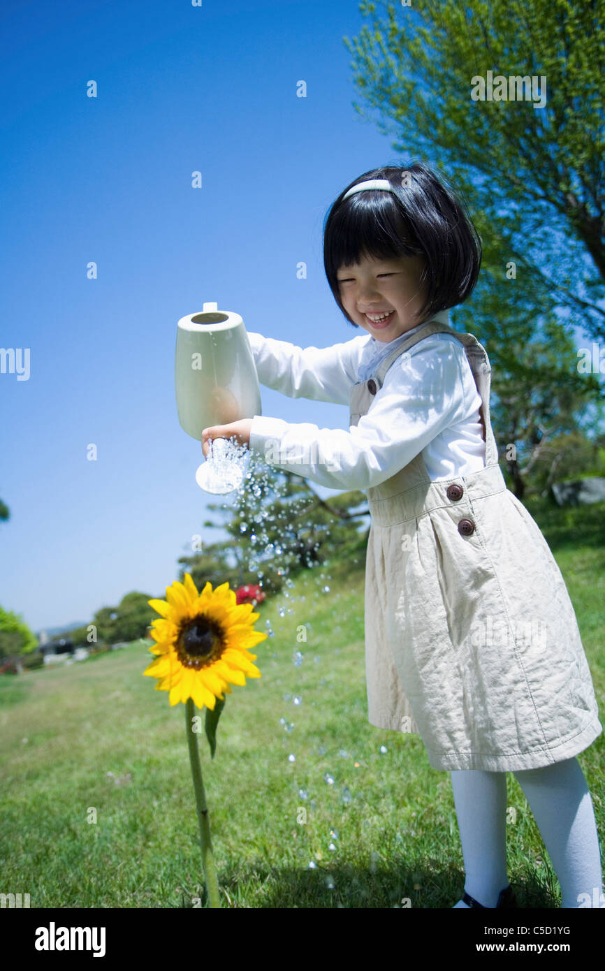 Girl watering sunflower hi-res stock photography and images - Alamy