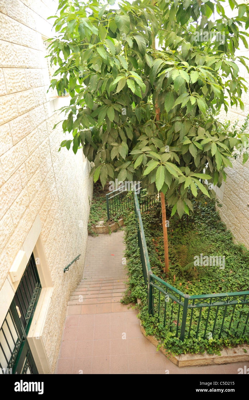 path to building pavement Stock Photo - Alamy