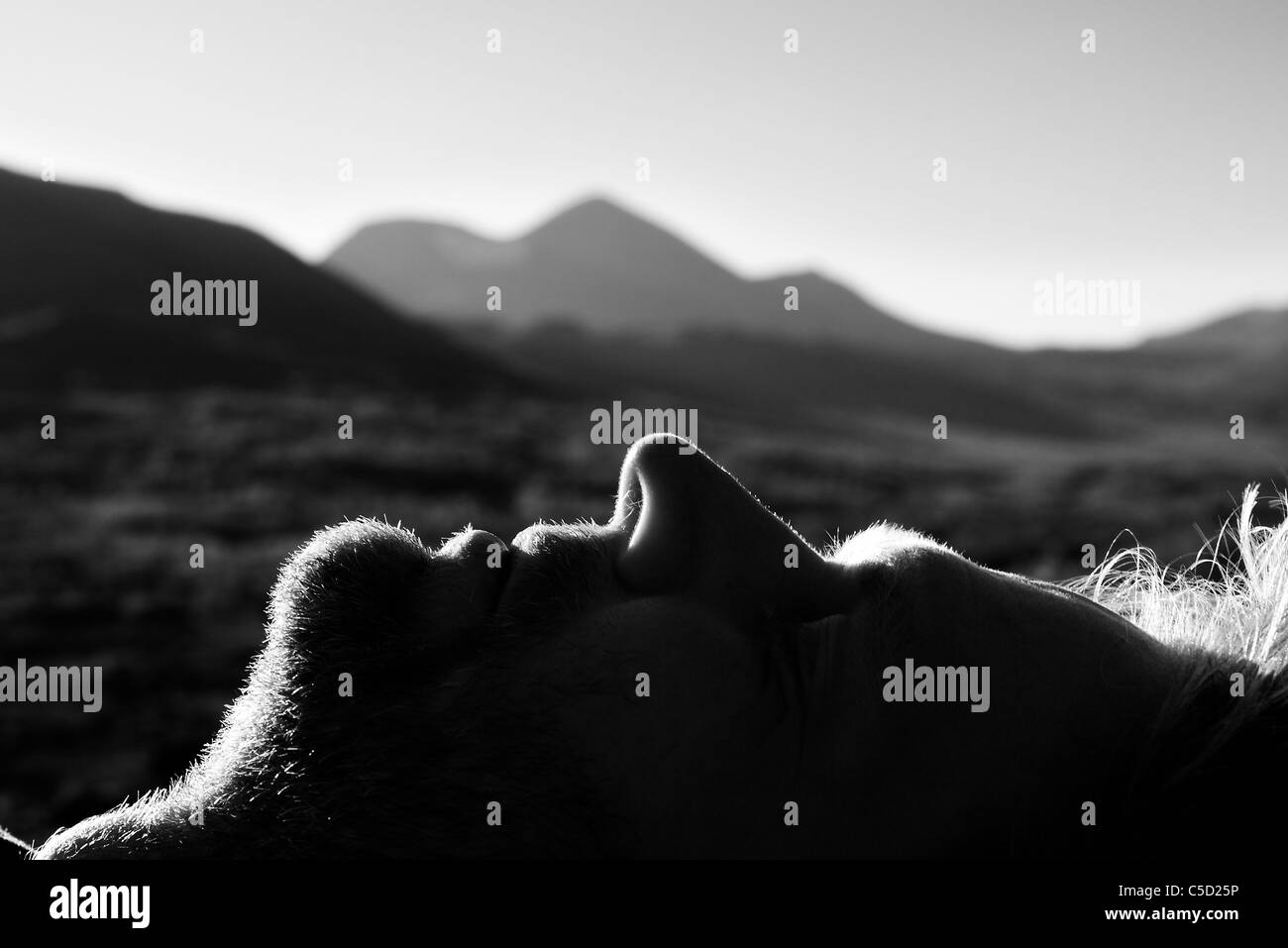 Human face landscape hi-res stock photography and images - Alamy