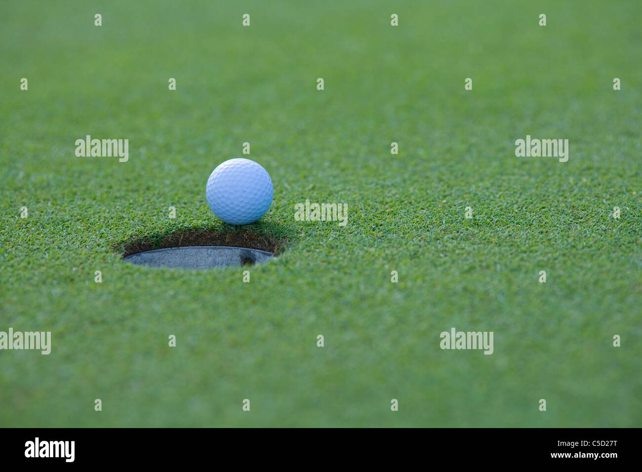 golf ball in the field Stock Photo - Alamy