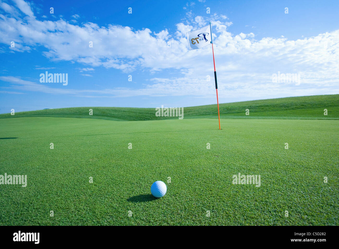 golf ball in the field Stock Photo - Alamy