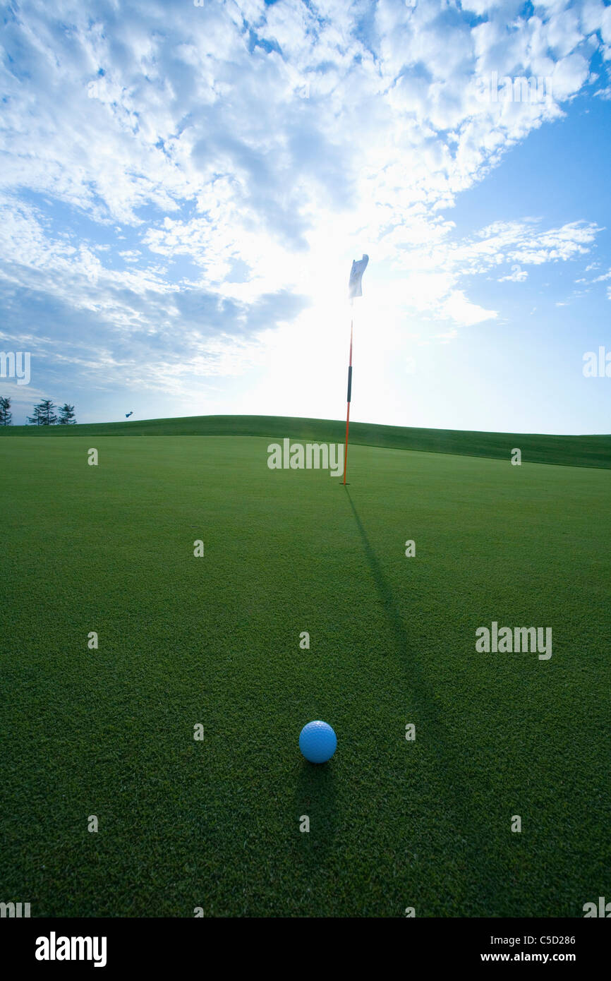 golf ball in the field Stock Photo - Alamy