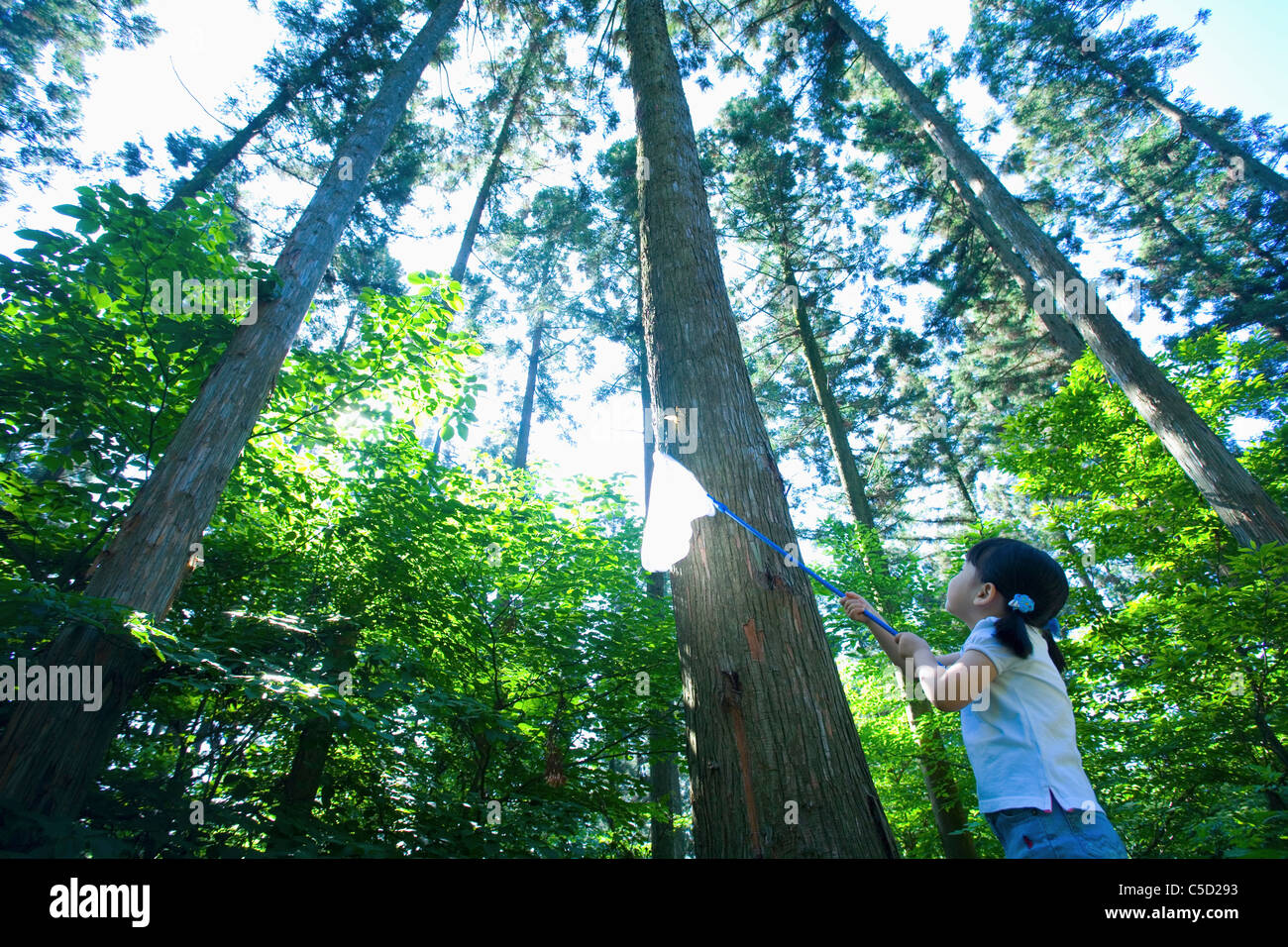 girl catching insect Stock Photo - Alamy