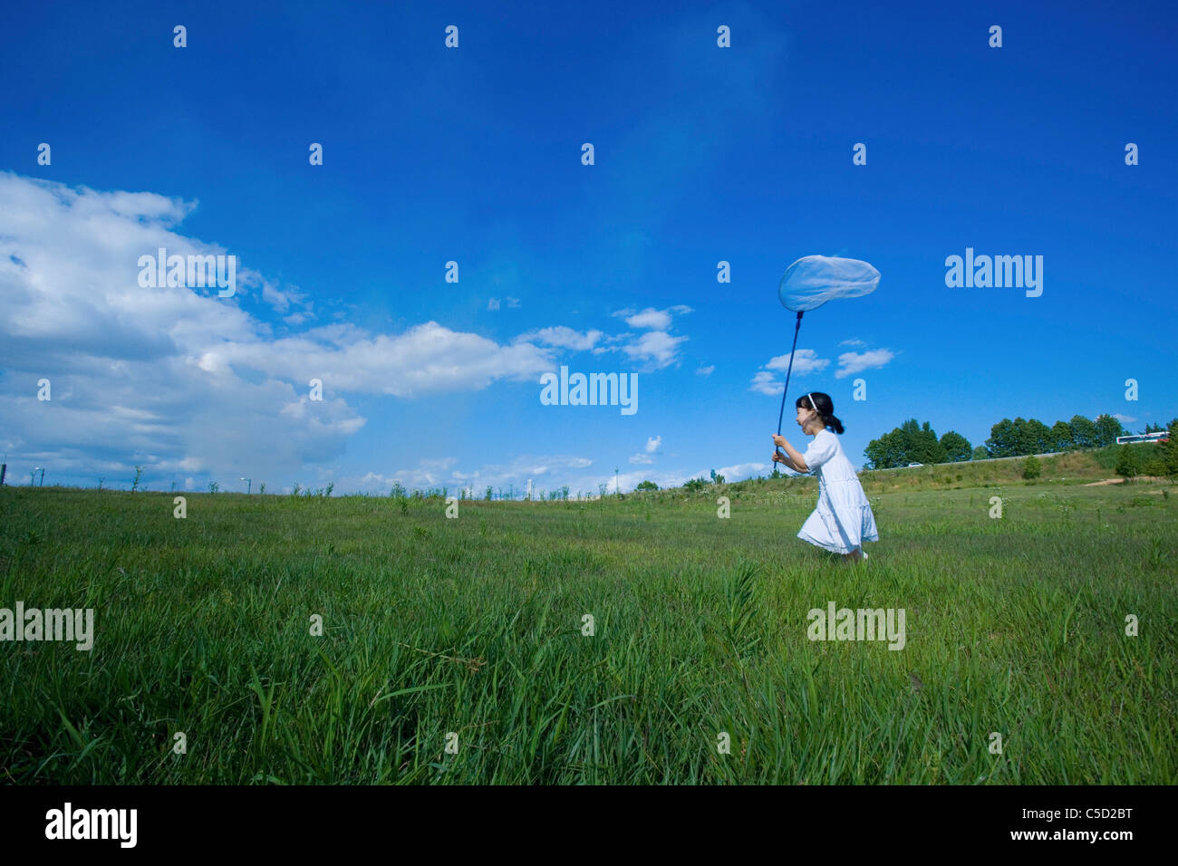 girl walking to catch the insect Stock Photo - Alamy