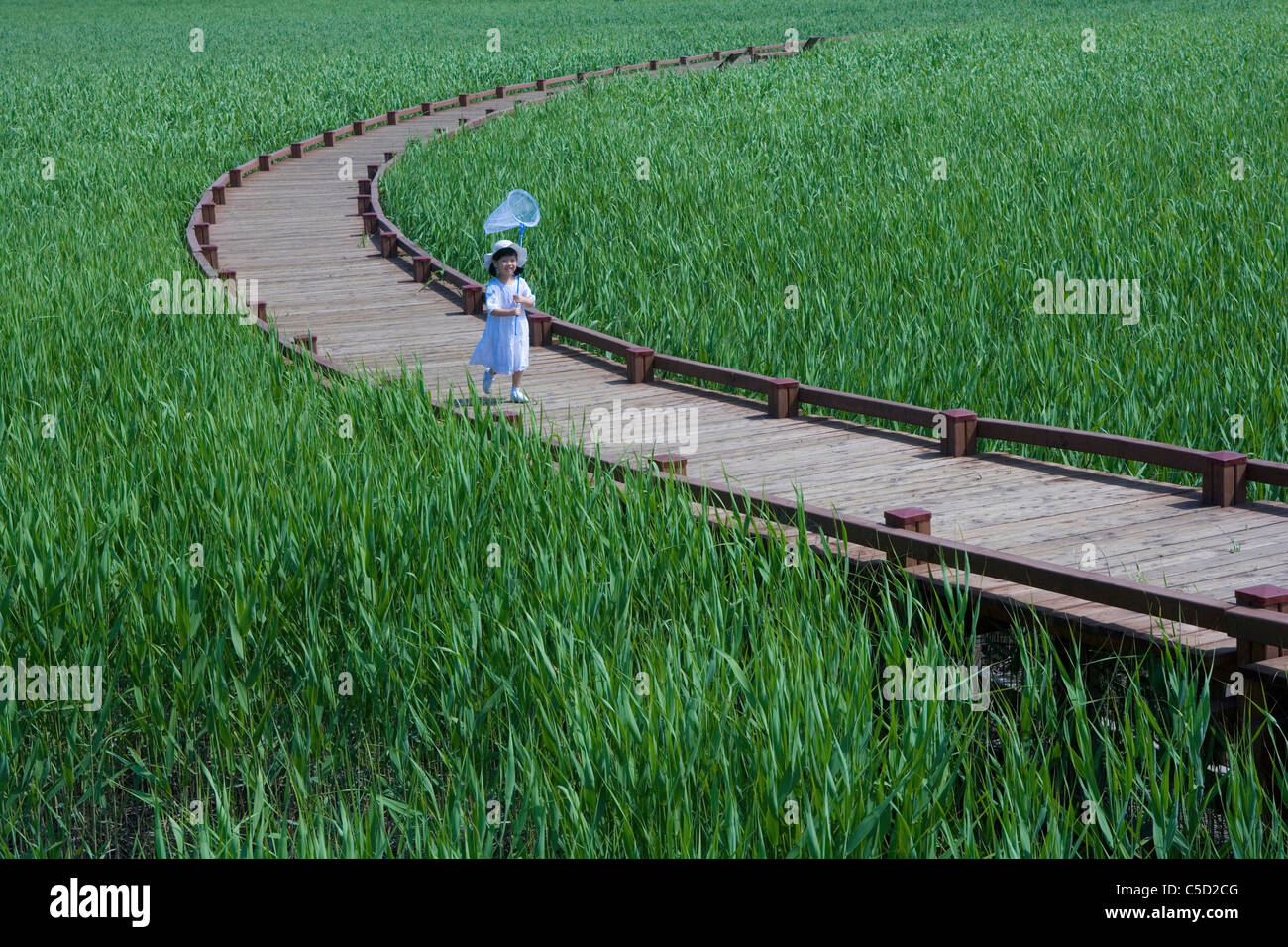 girl walking holding dragonfly net Stock Photo - Alamy