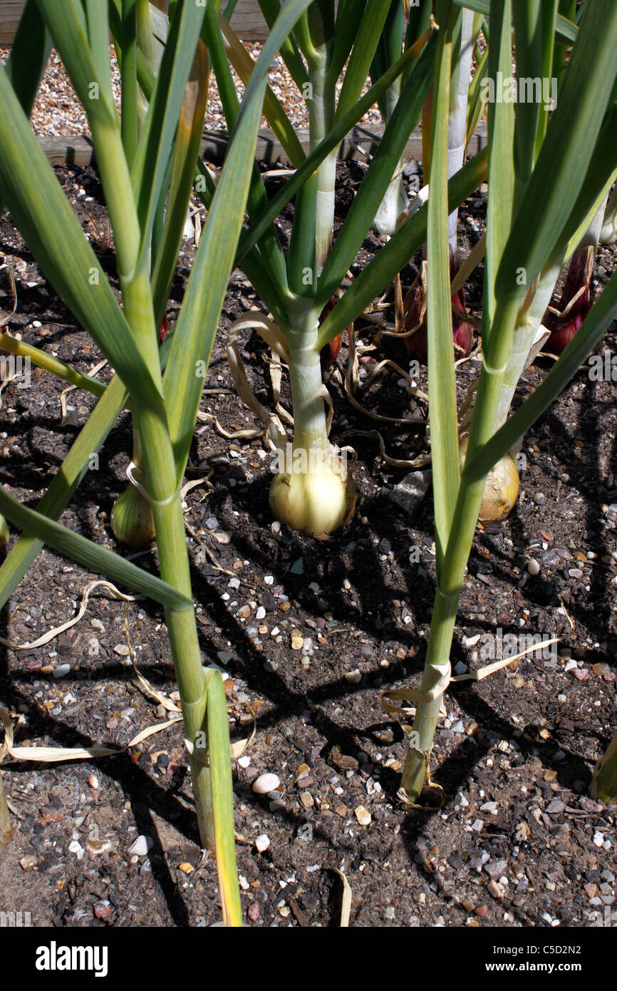 Ground radar hi-res stock photography and images - Alamy