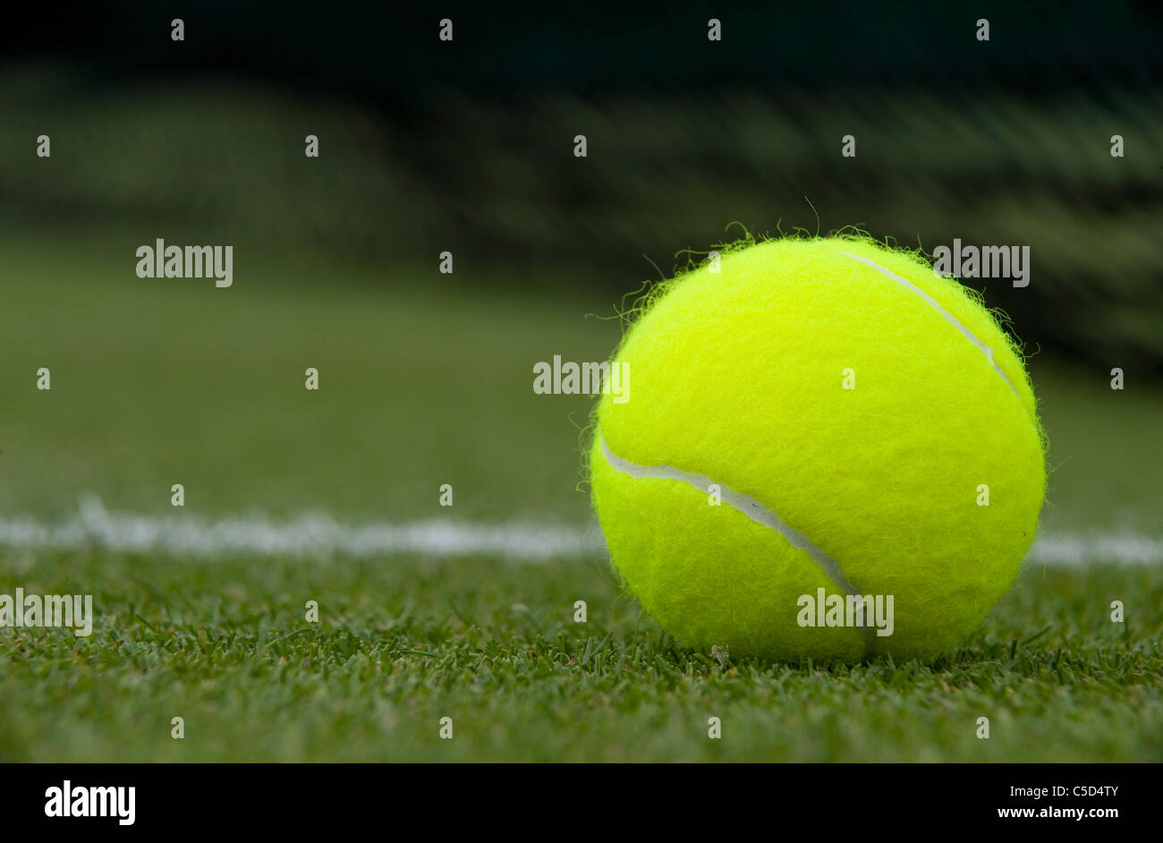 Close up view of a tennis ball on a grass court Stock Photo - Alamy