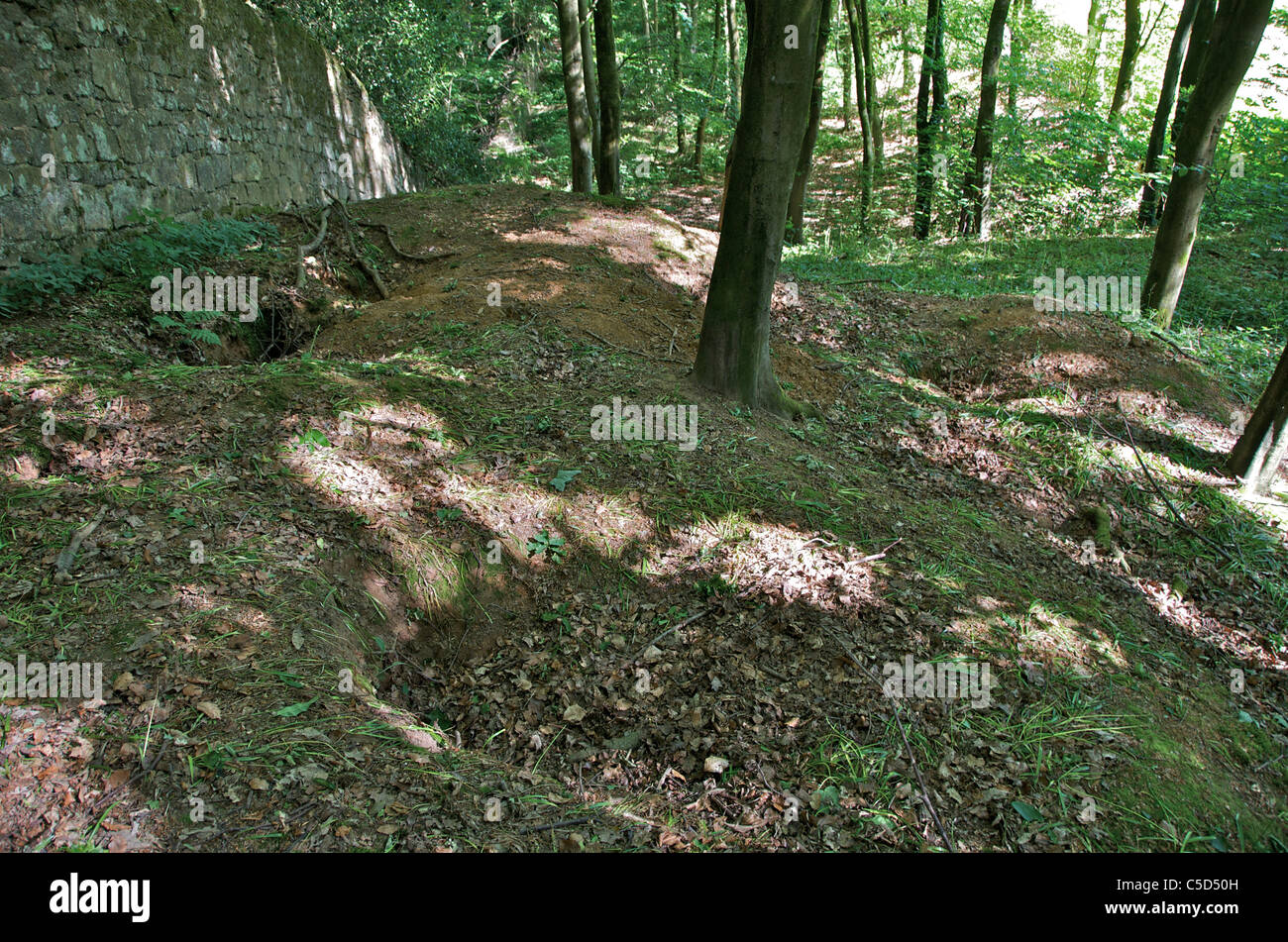 Badger sett hi-res stock photography and images - Alamy