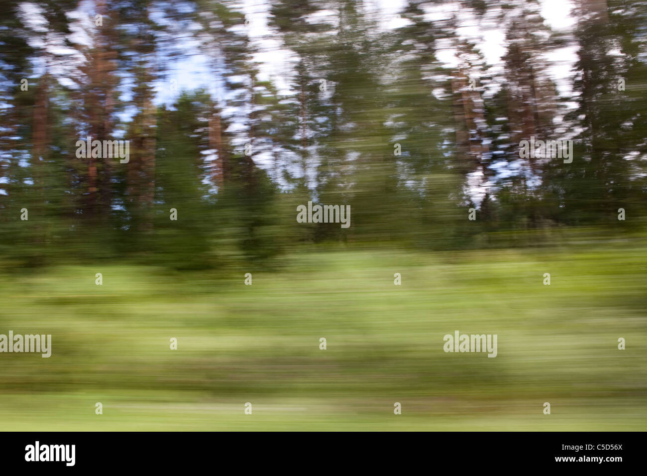 Motion trees hi-res stock photography and images - Alamy