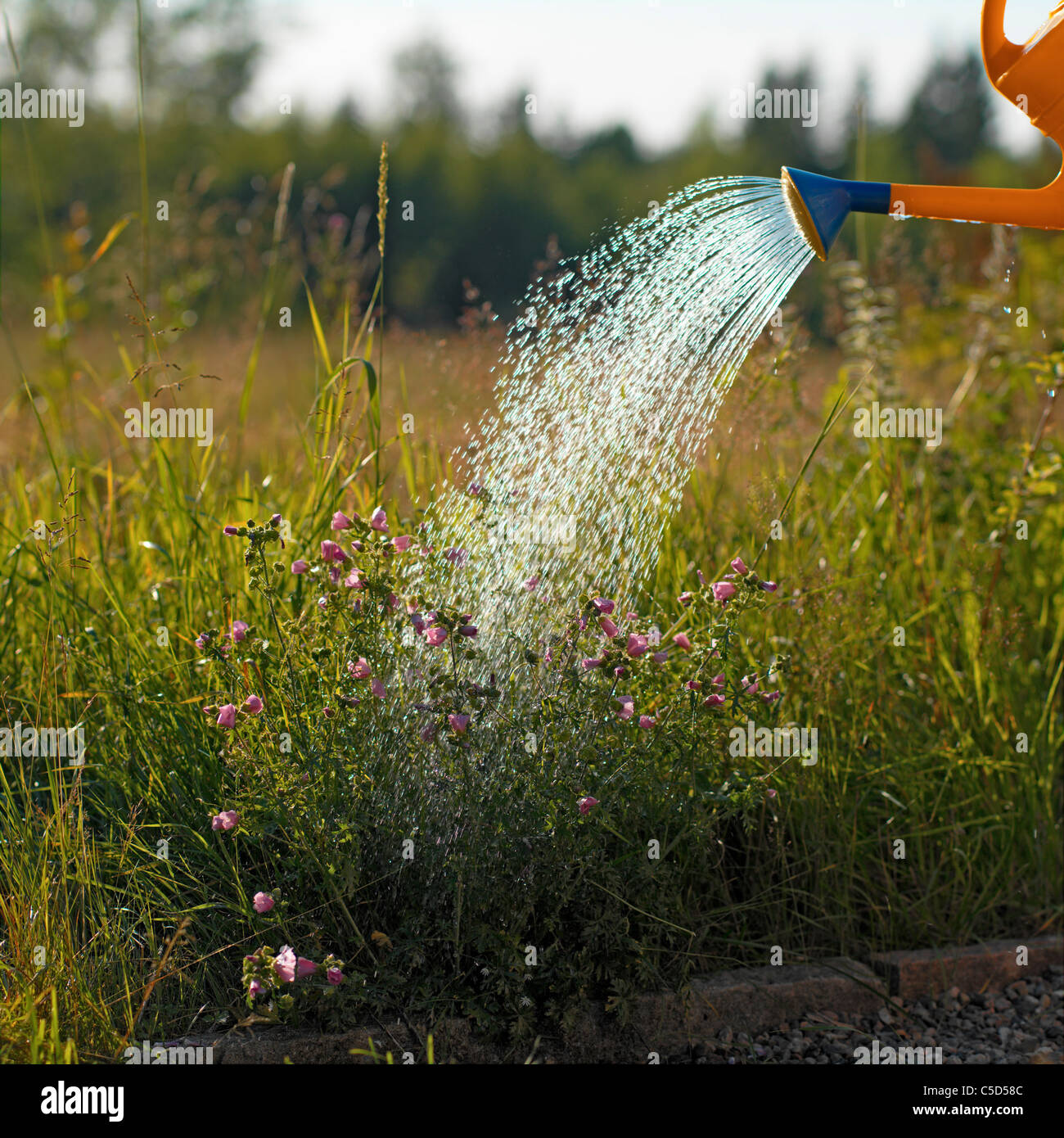 Spraying cabin hi-res stock photography and images - Alamy