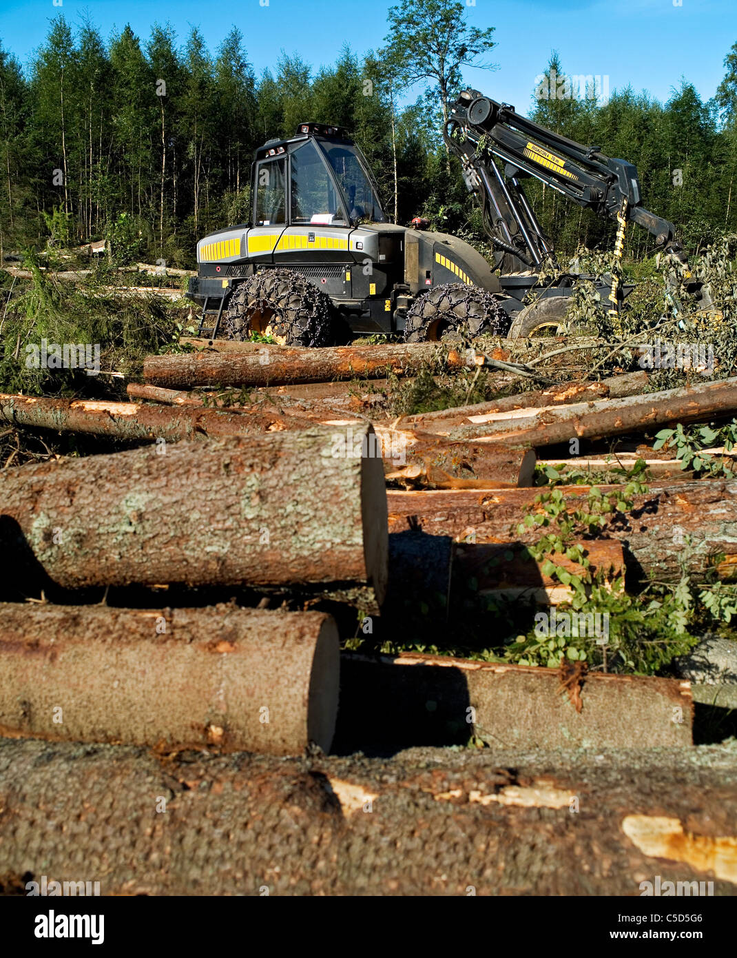 To rejuvenate the area hi-res stock photography and images - Alamy