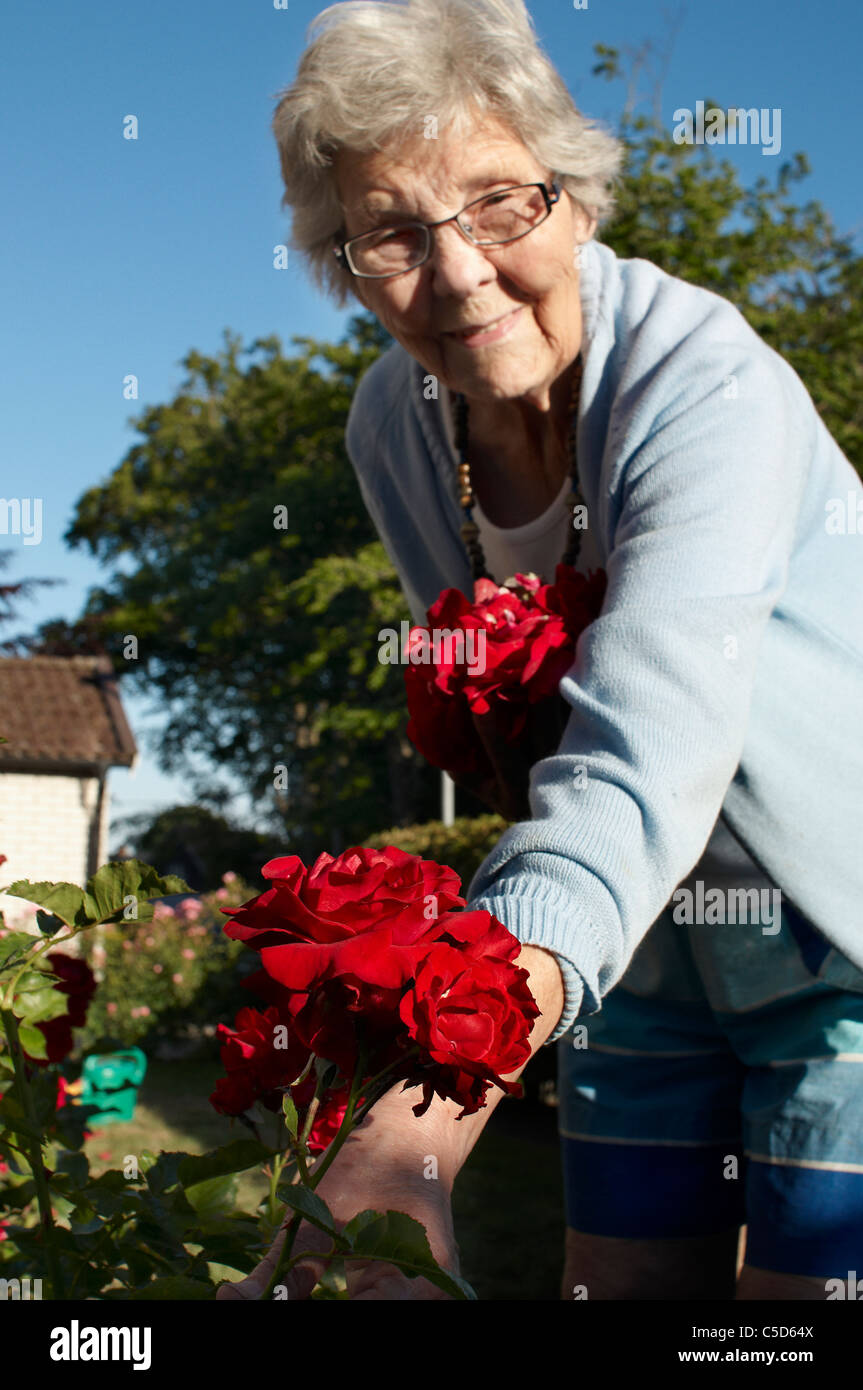 Older woman roses hi-res stock photography and images - Alamy