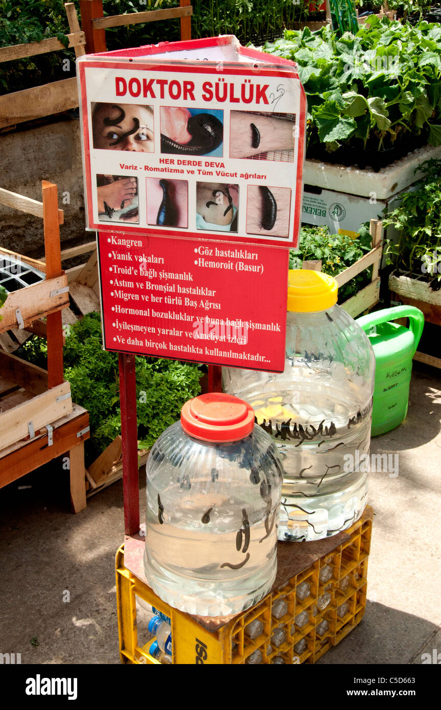 Leech hi-res stock photography and images - Alamy