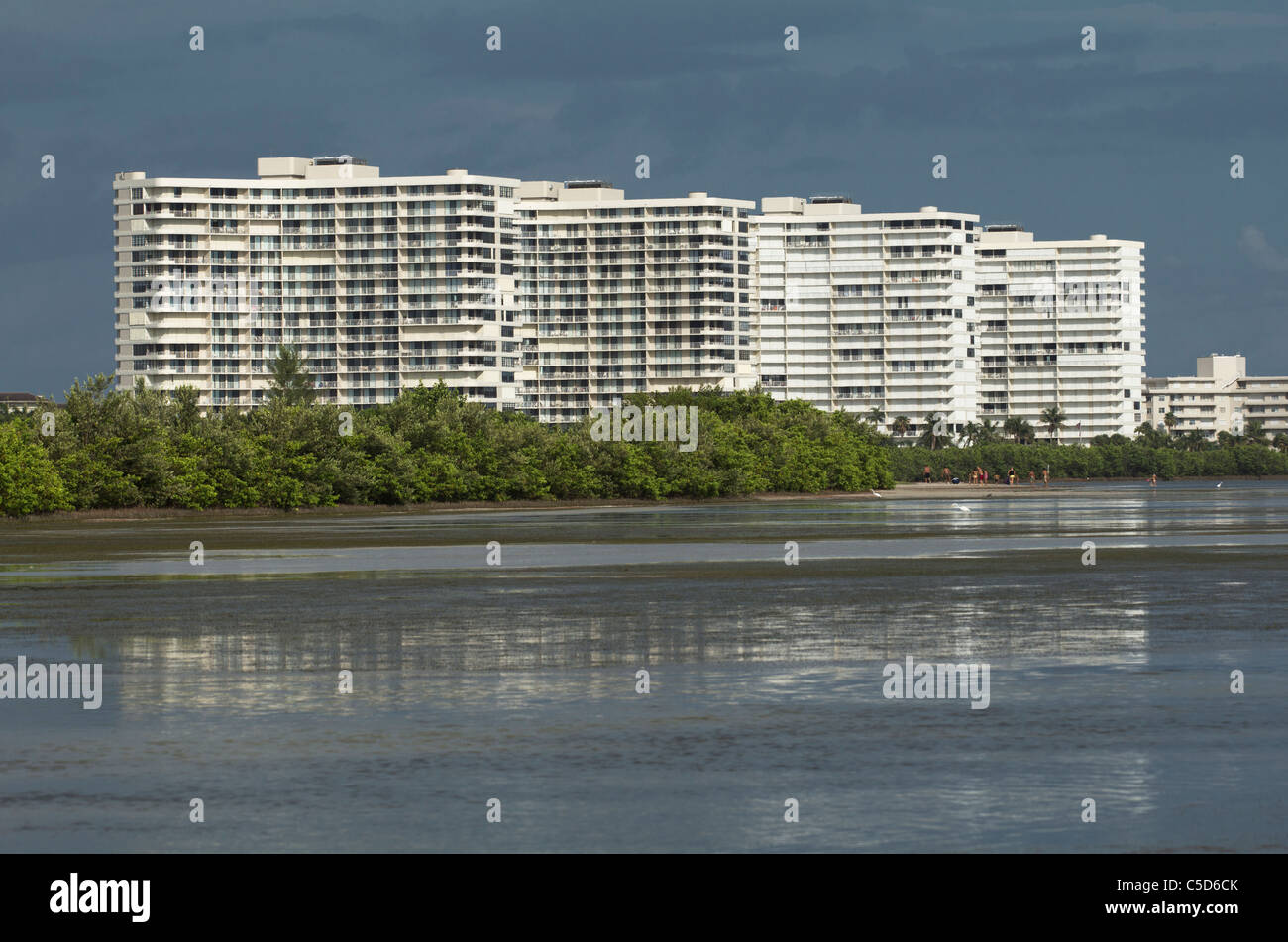Tall buildings overlook the natural area of Tigertail beach Stock Photo ...