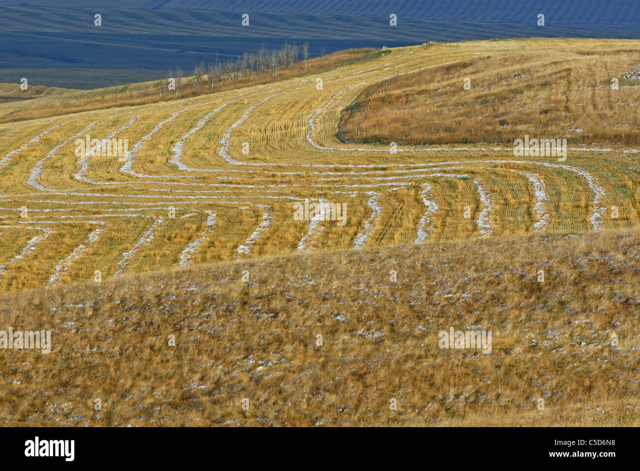 Farming yield hi-res stock photography and images - Alamy