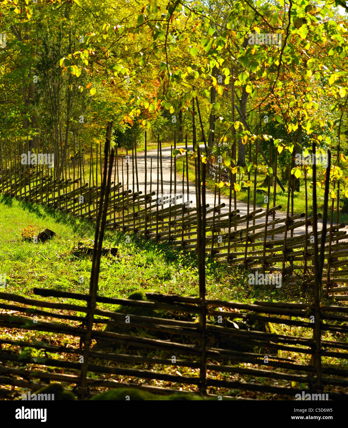 Enclosed wooded hi-res stock photography and images - Alamy