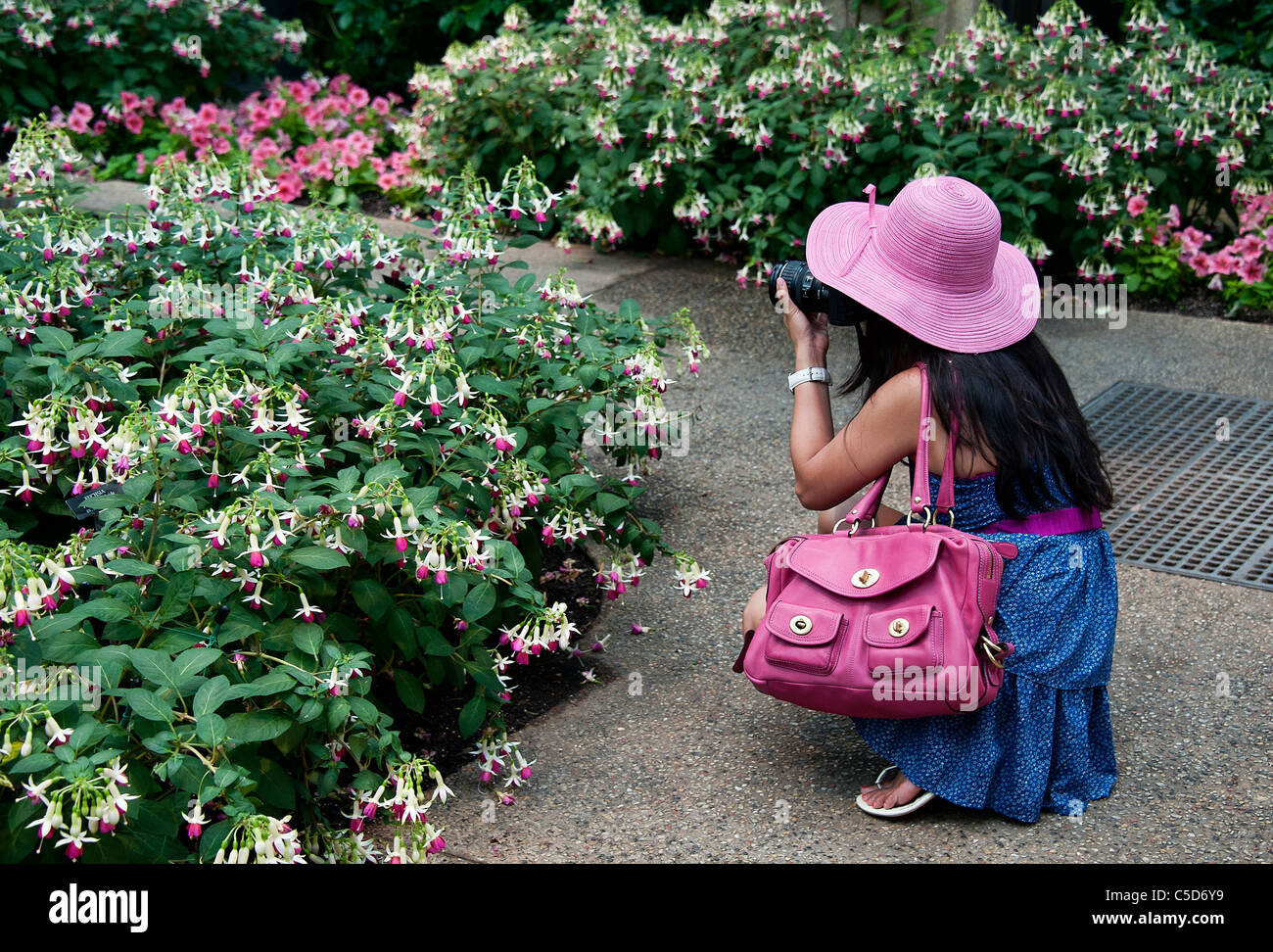 Picture composition hi-res stock photography and images - Alamy