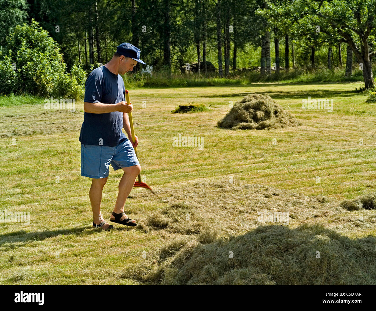 Old Man Raking Grass High Resolution Stock Photography and Images - Alamy