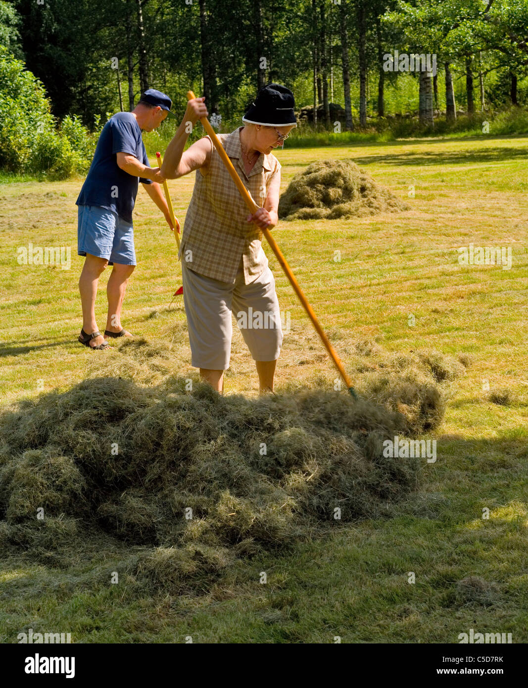 Old Man Raking Grass High Resolution Stock Photography and Images - Alamy