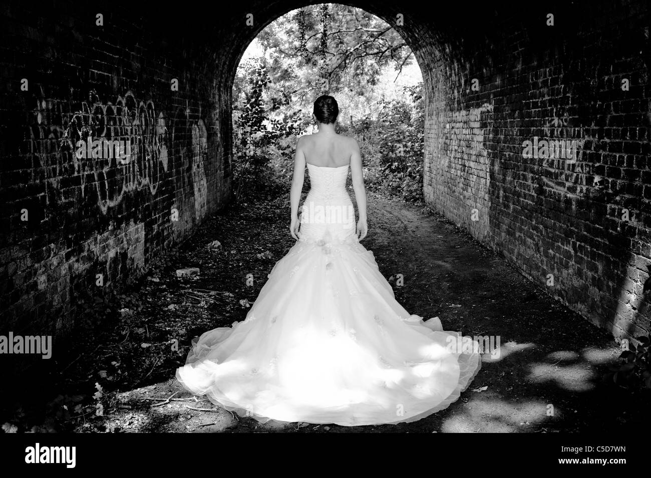 Back view of a bride and her wedding dress spread out, outdoors Stock ...