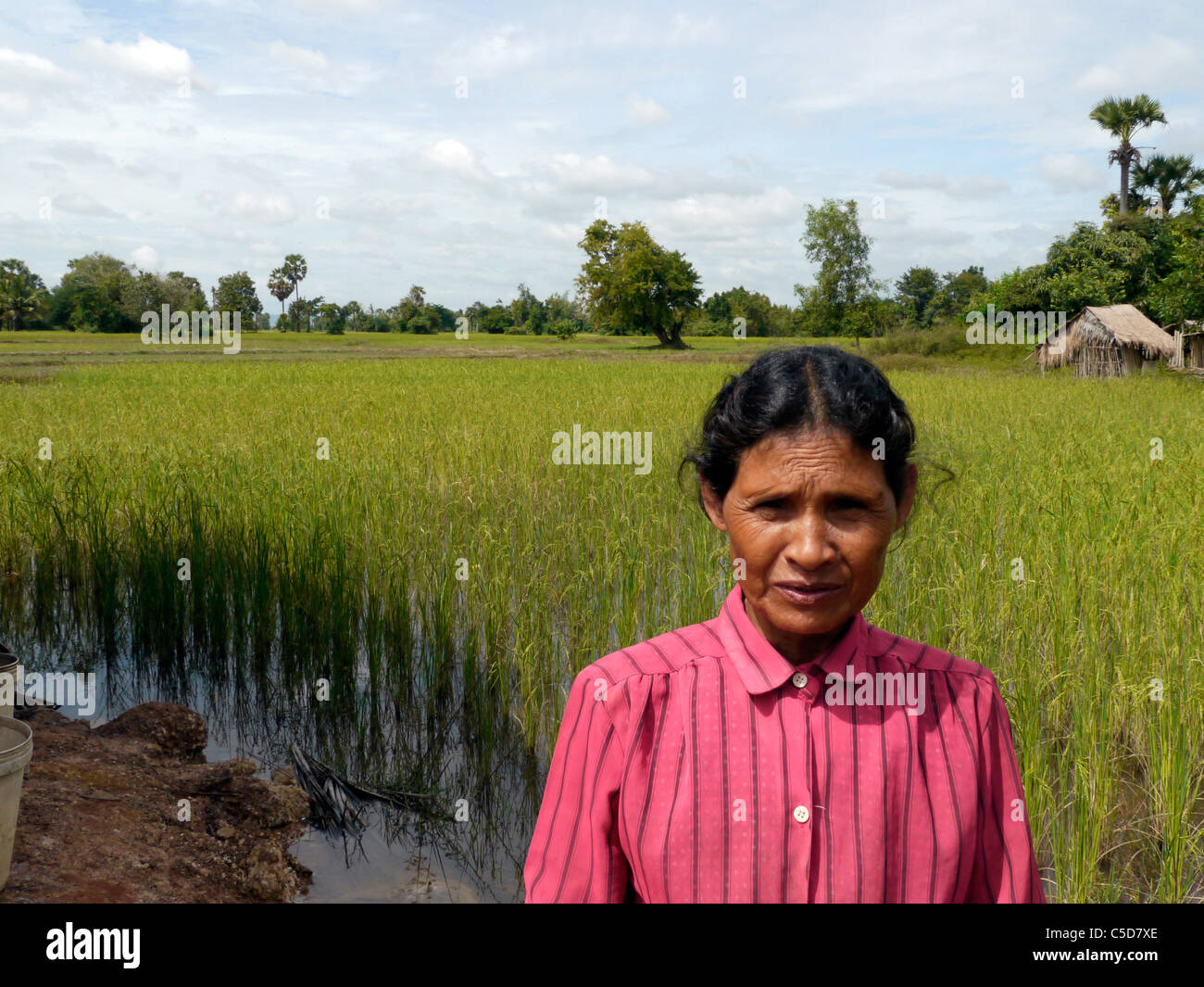 CAMBODIA Old woman farmer Stock Photo - Alamy