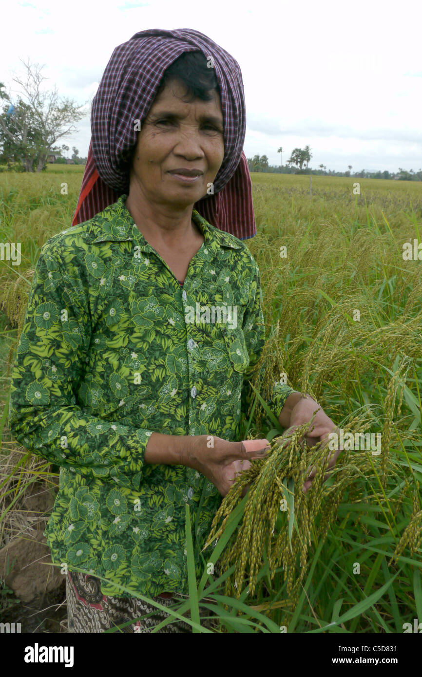 Cambodia farmer hi-res stock photography and images - Alamy