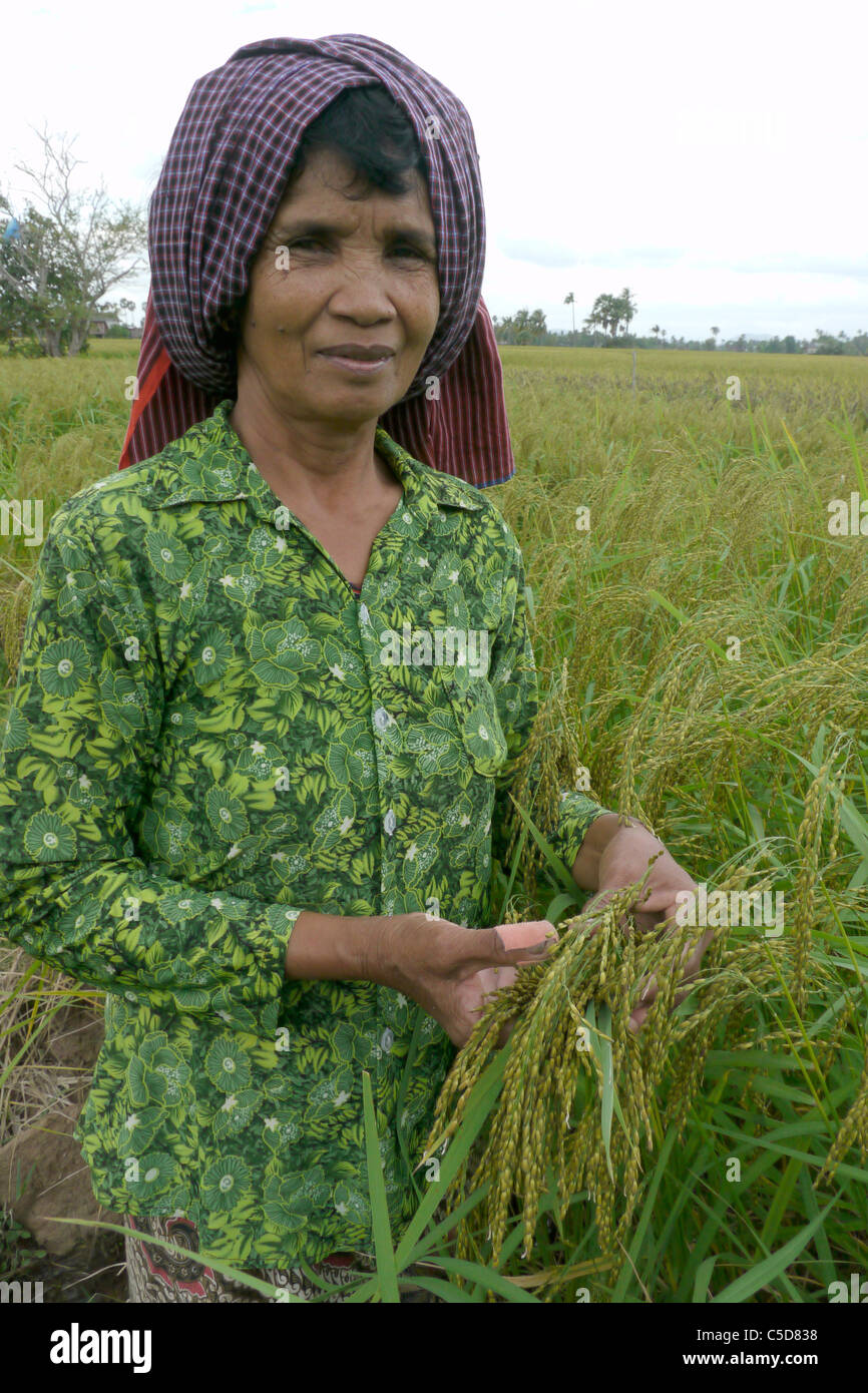Cambodia farmer hi-res stock photography and images - Alamy