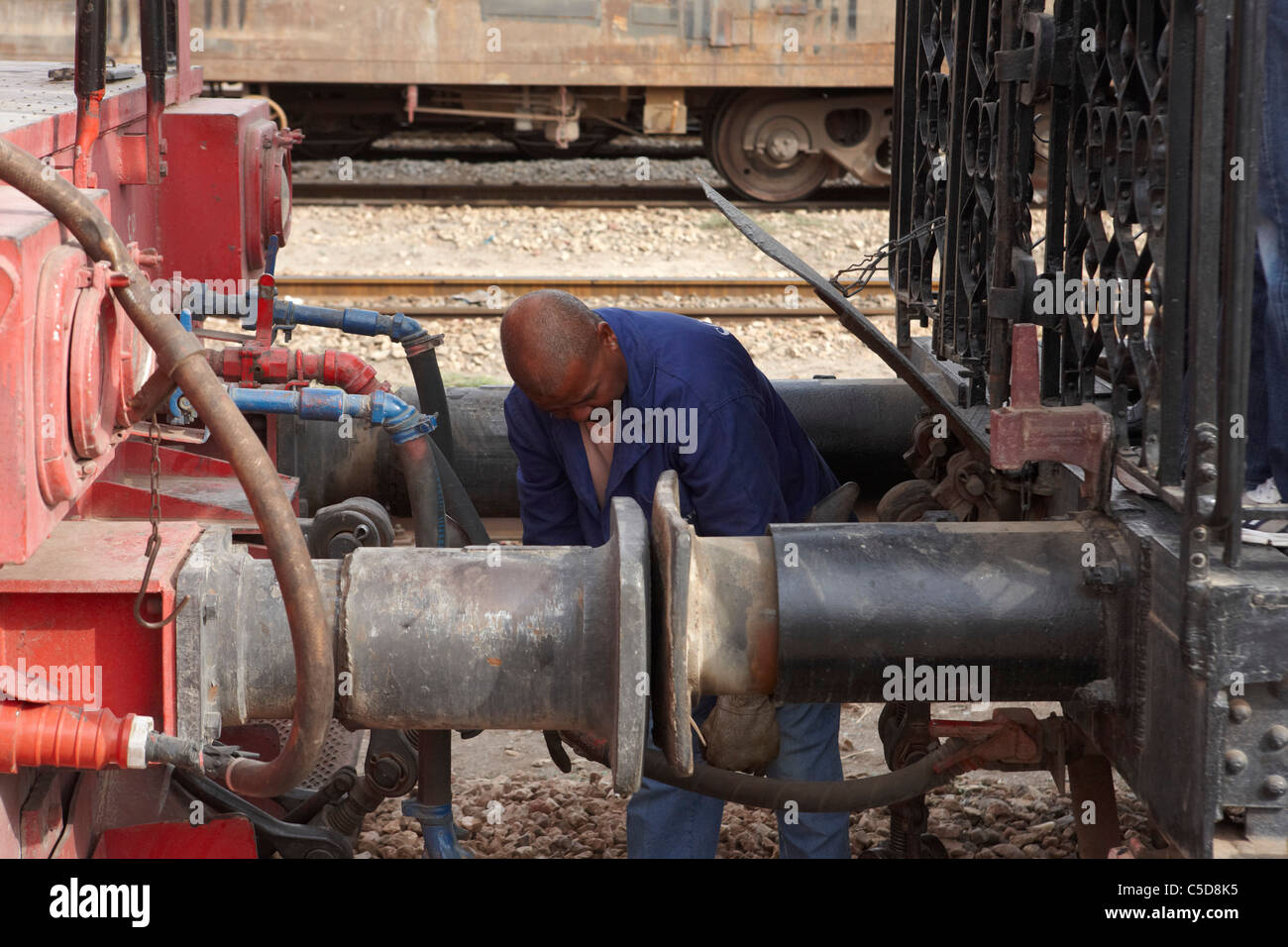 Rail lizard hi-res stock photography and images - Alamy