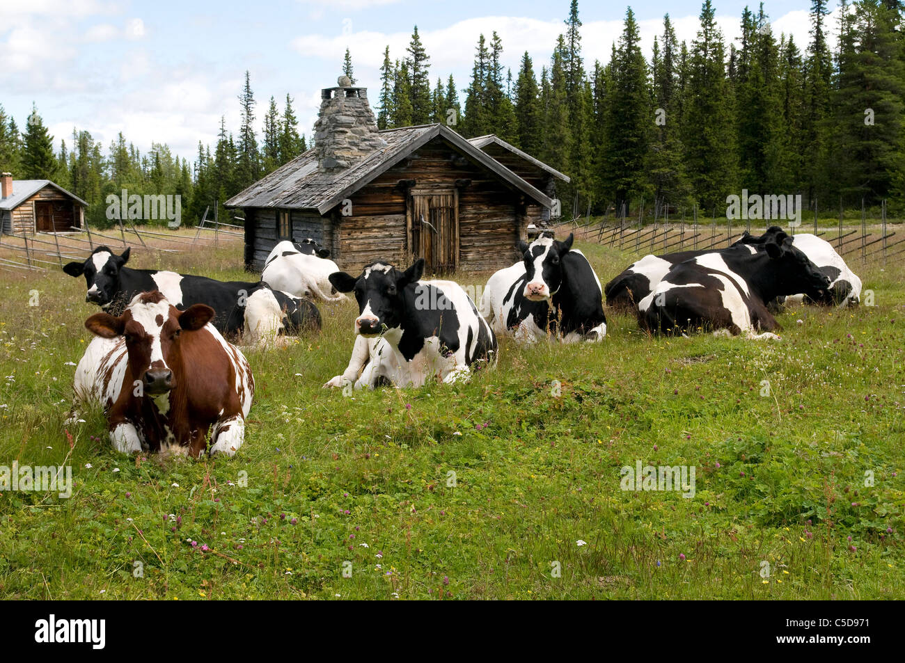 Cattle Huts High Resolution Stock Photography and Images - Alamy