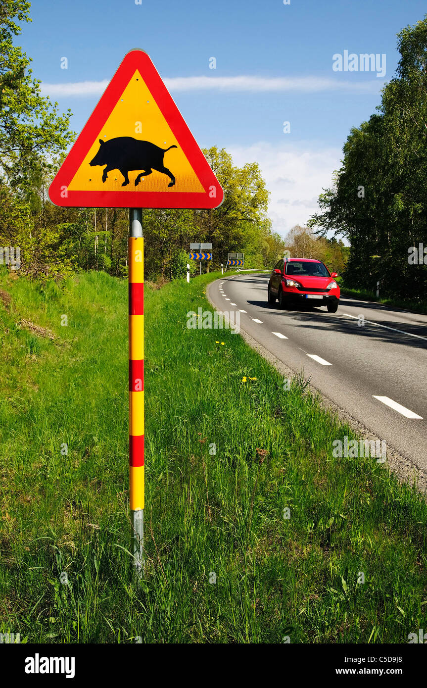 Wild boar warning sign hi-res stock photography and images - Alamy