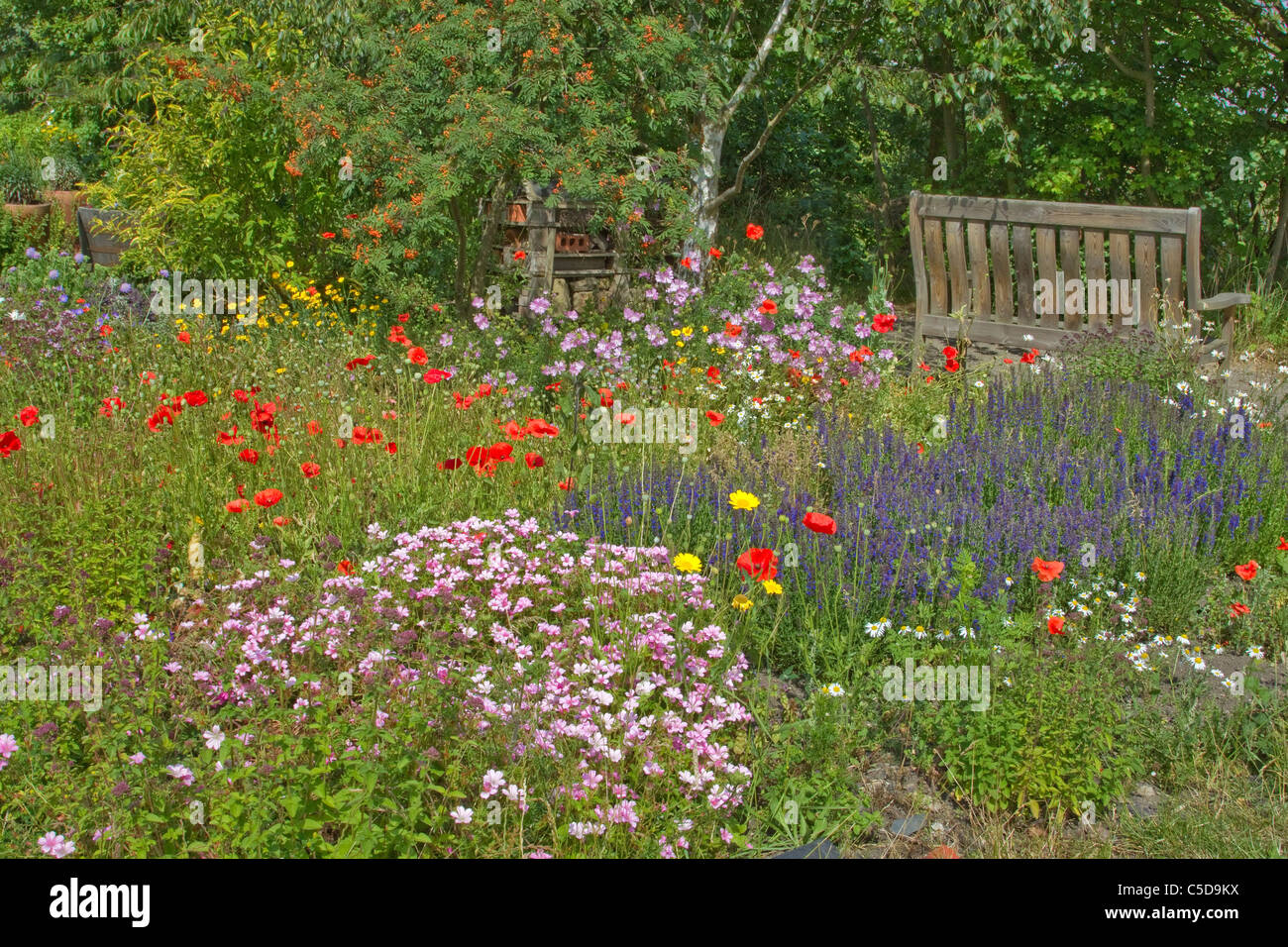 Wild summer flowers in England countryside Stock Photo - Alamy
