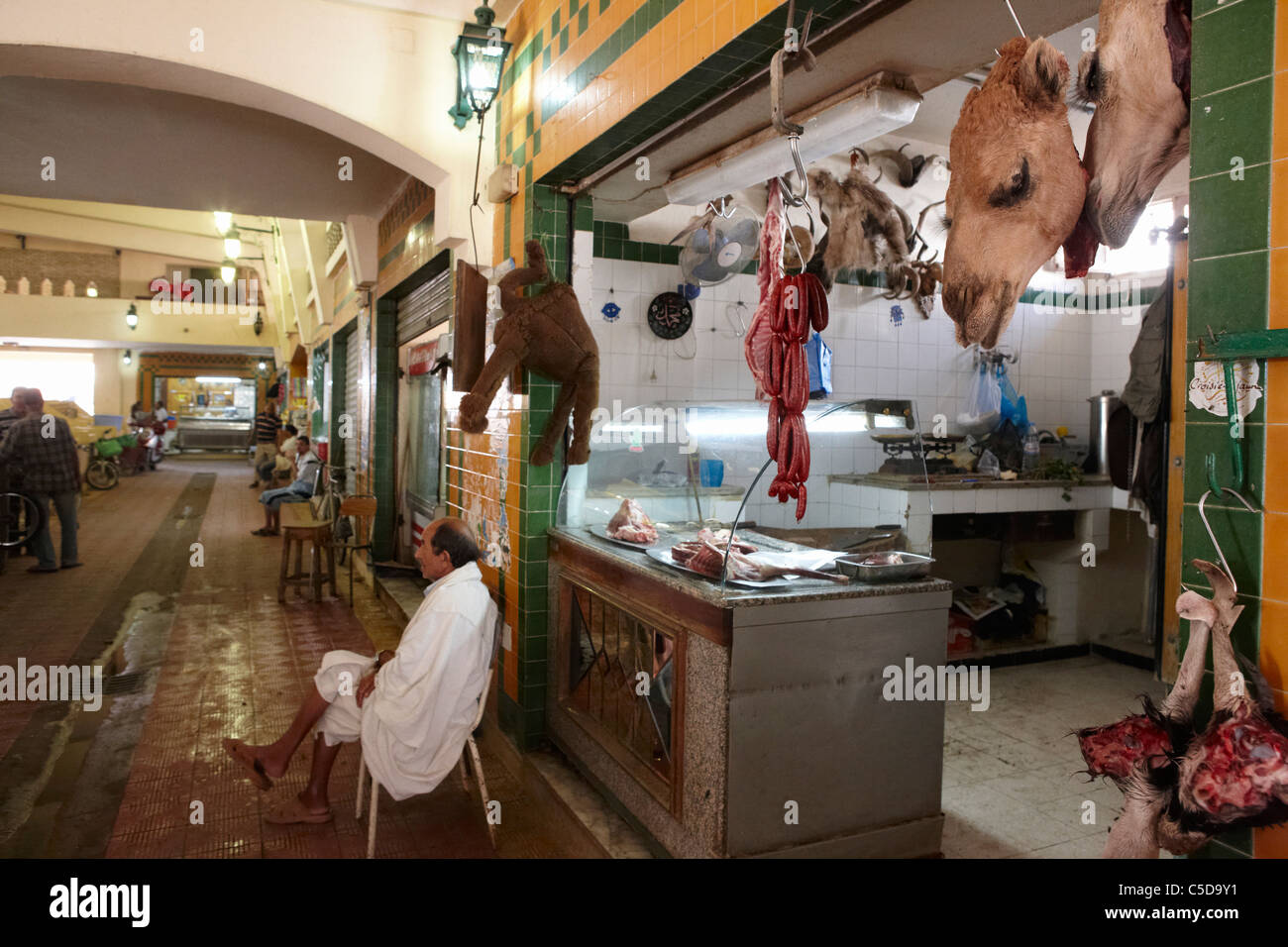 Camel bazaar hi-res stock photography and images - Alamy