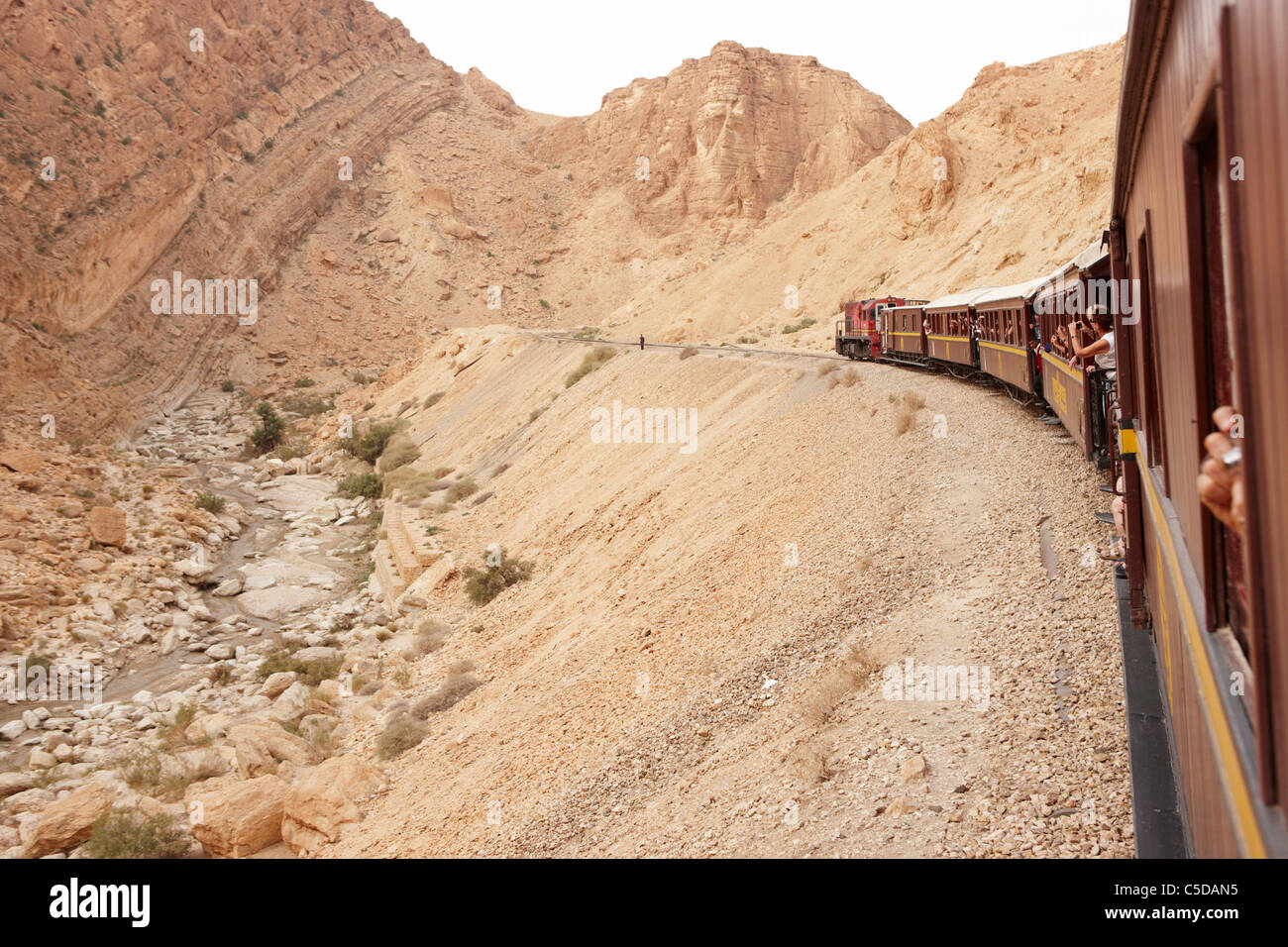 Lezard rouge hi-res stock photography and images - Alamy