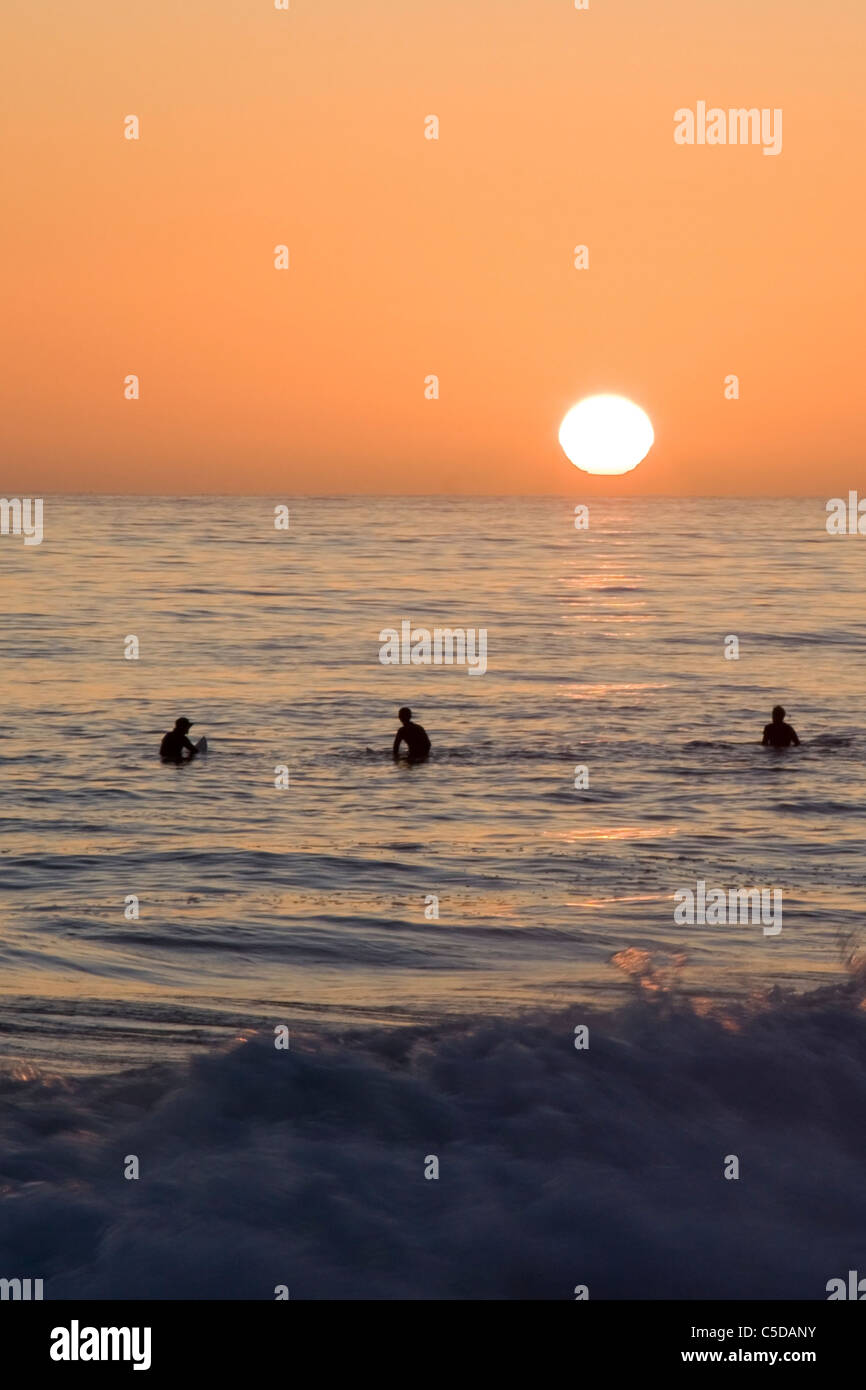 View of California Surfers floating in water at Sunset Stock Photo - Alamy