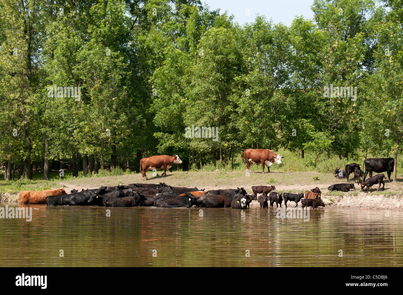 Cooling water pond hi-res stock photography and images - Alamy