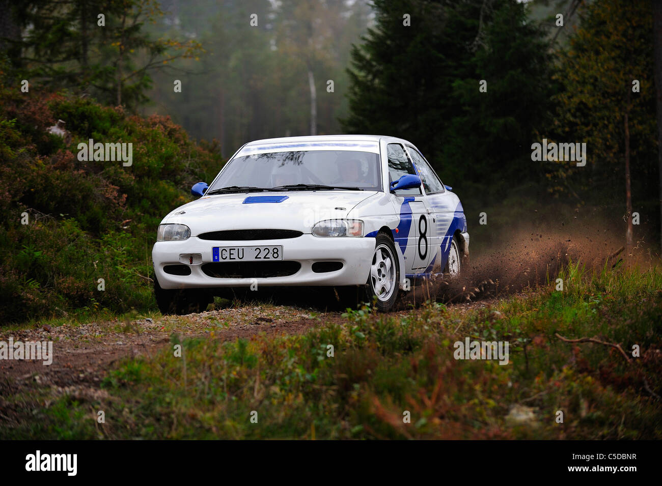 White racing car hi-res stock photography and images - Alamy