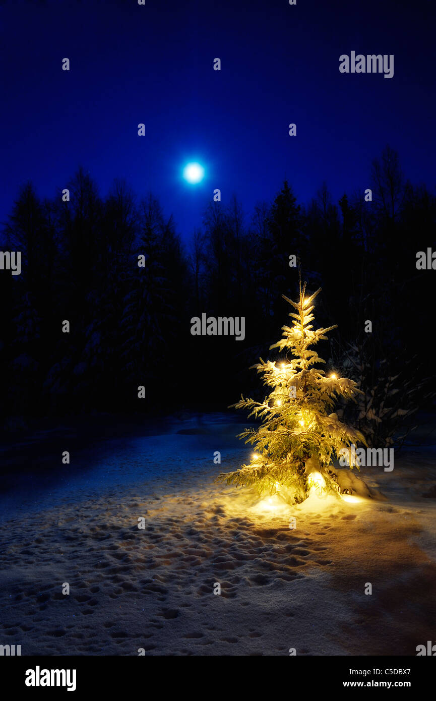 Moon christmas tree decoration hi-res stock photography and images - Alamy