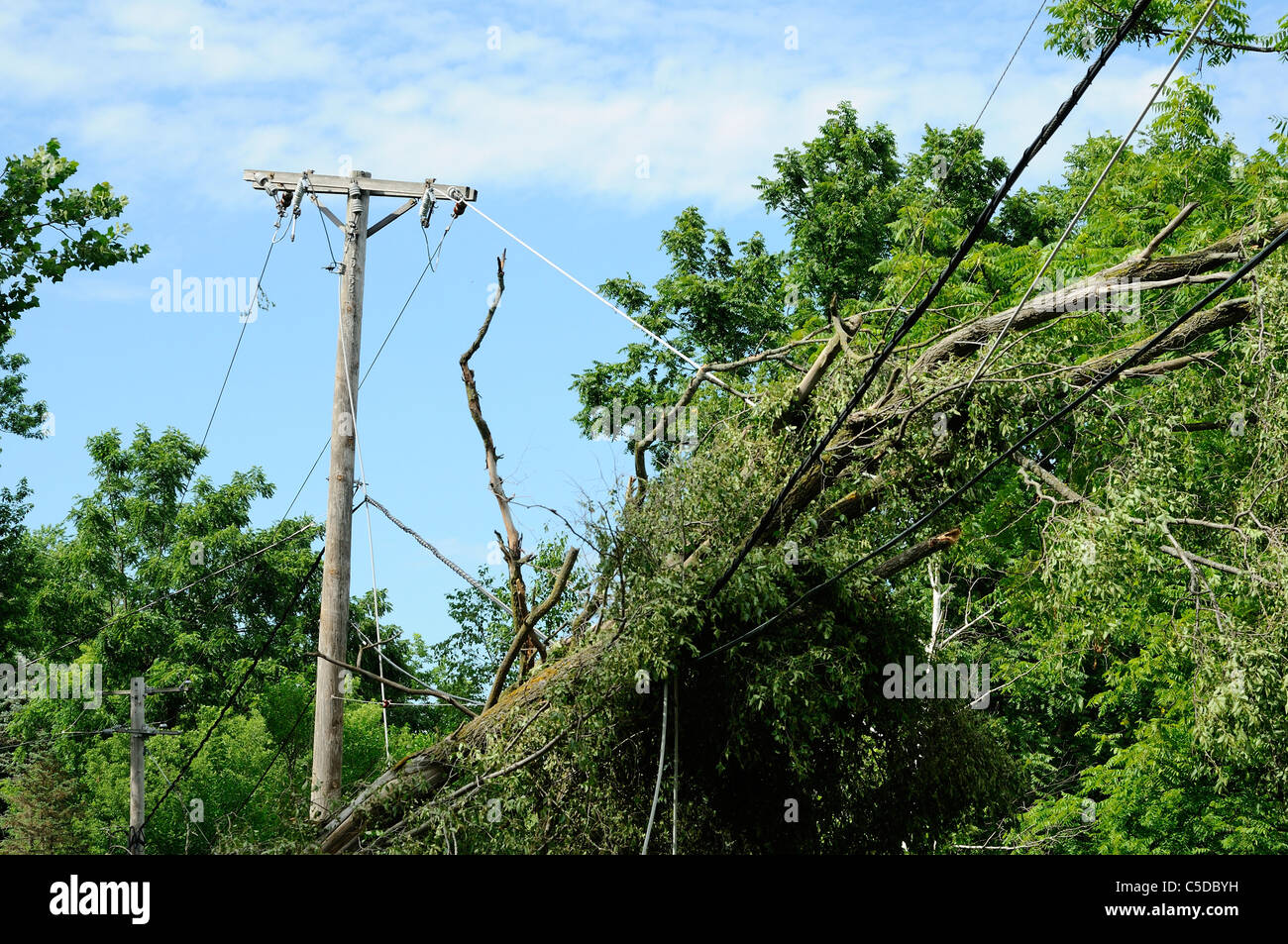 Tree blown down by intense storm laying across high voltage overhead ...