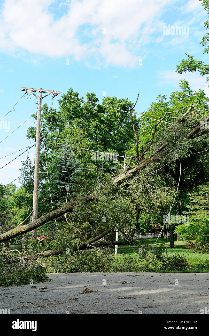 Damaged high voltage power lines hi-res stock photography and images ...