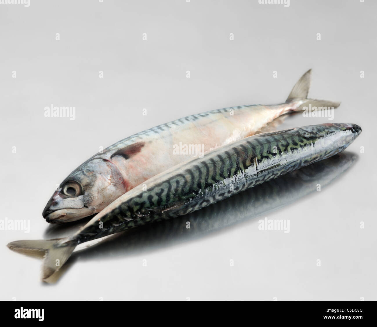 Gray scales hi-res stock photography and images - Alamy