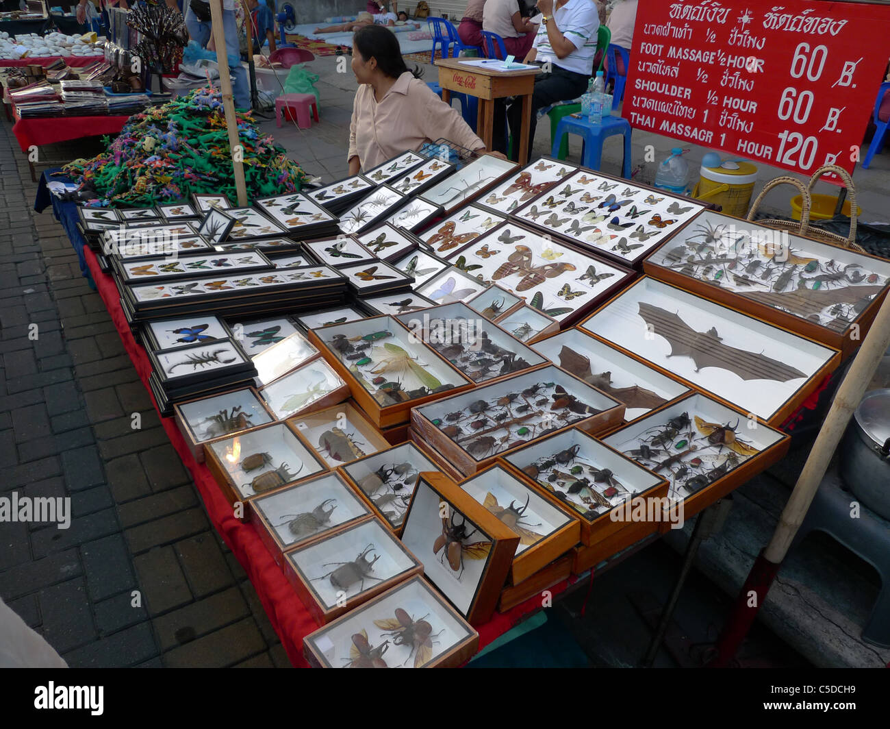 THAILAND Chiang Mai. Stall selling insects and spiders in glass cases ...